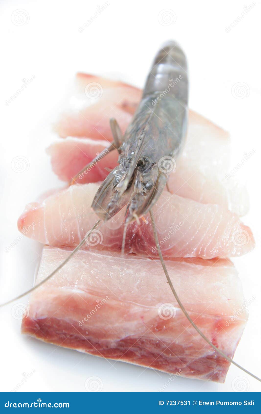 Vers garnalen en visvlees stock afbeelding. Image of goed - 7237531