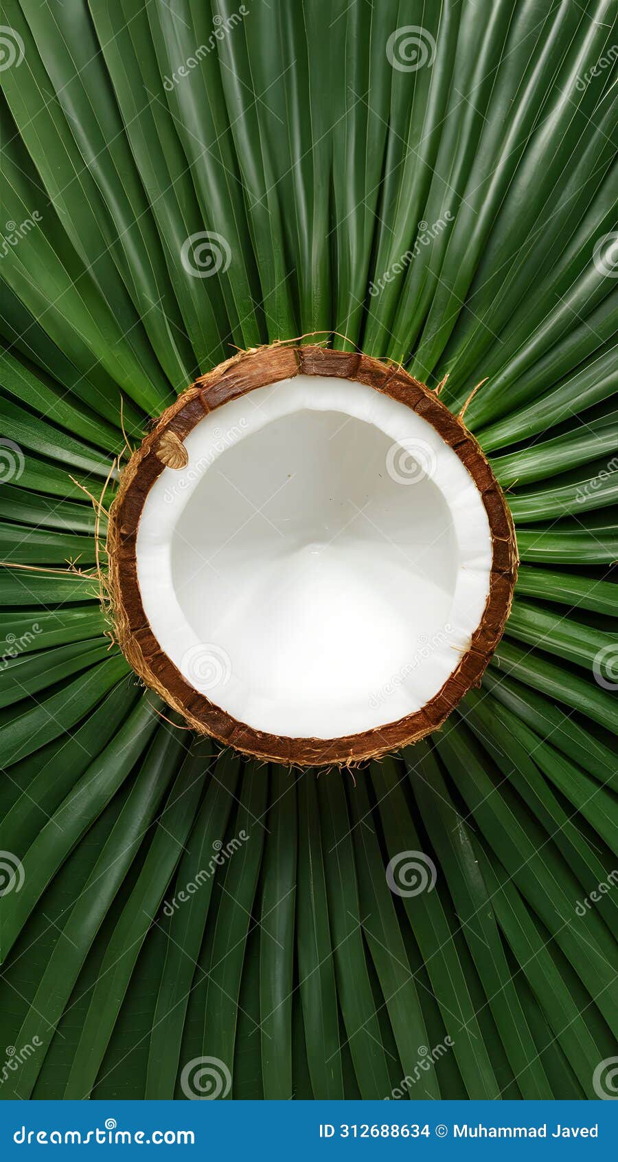 Versatile Coconut Design Element Isolated on White for Customization ...
