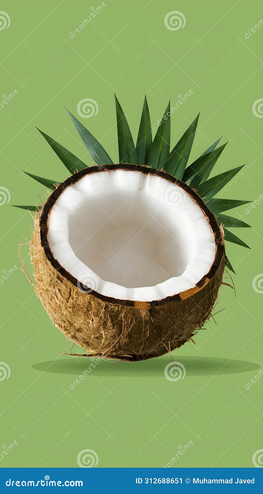 Versatile Coconut Design Element Isolated on White for Customization ...