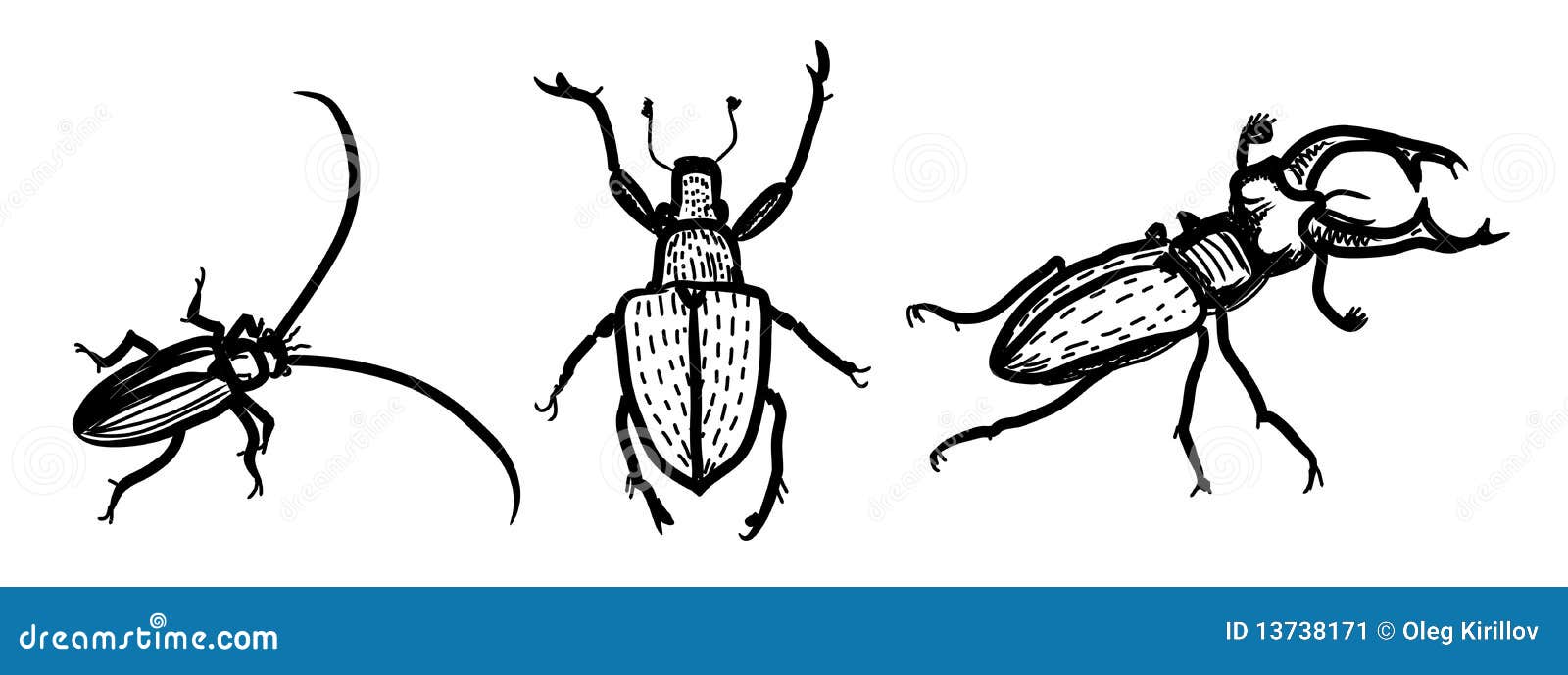 Verscheidene Soorten Kevers Vector Illustratie - Illustration of ...