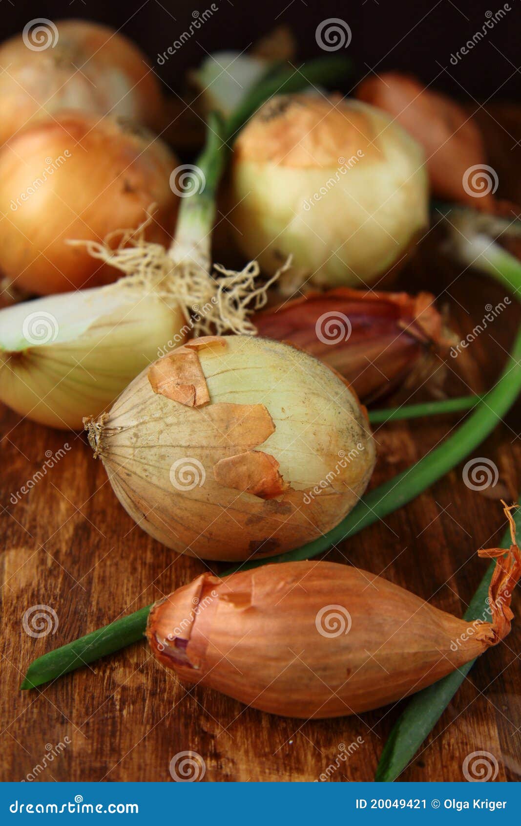 Verscheidene Types Van Groene Uien - En Sjalotten Stock Afbeelding ...