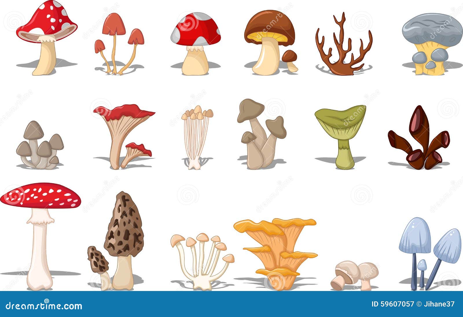 Verschiedene Arten Der Pilze Stock Abbildung - Illustration von giftig ...