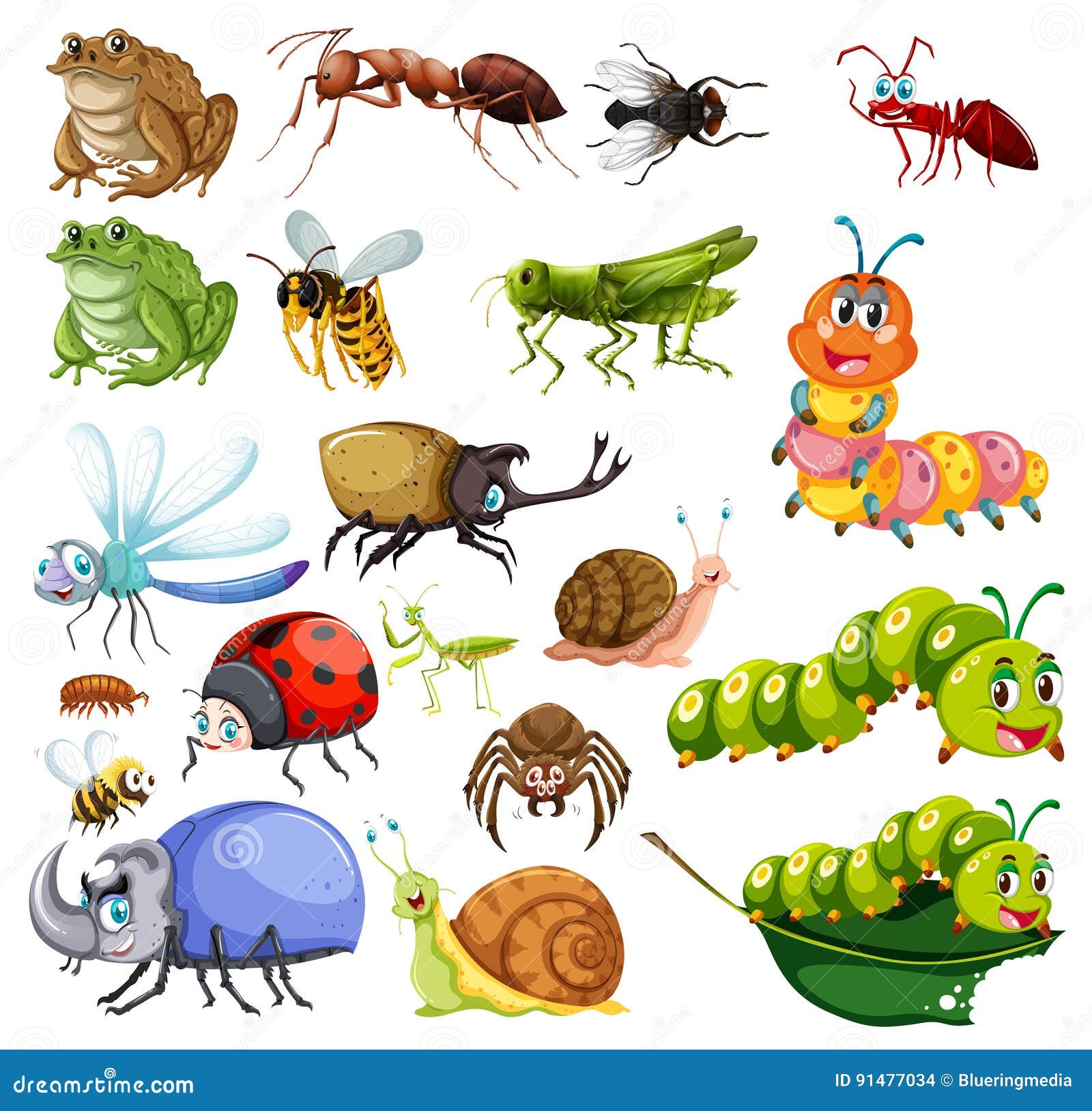 Verschiedene Arten Von Insekten Vektor Abbildung - Illustration von ...