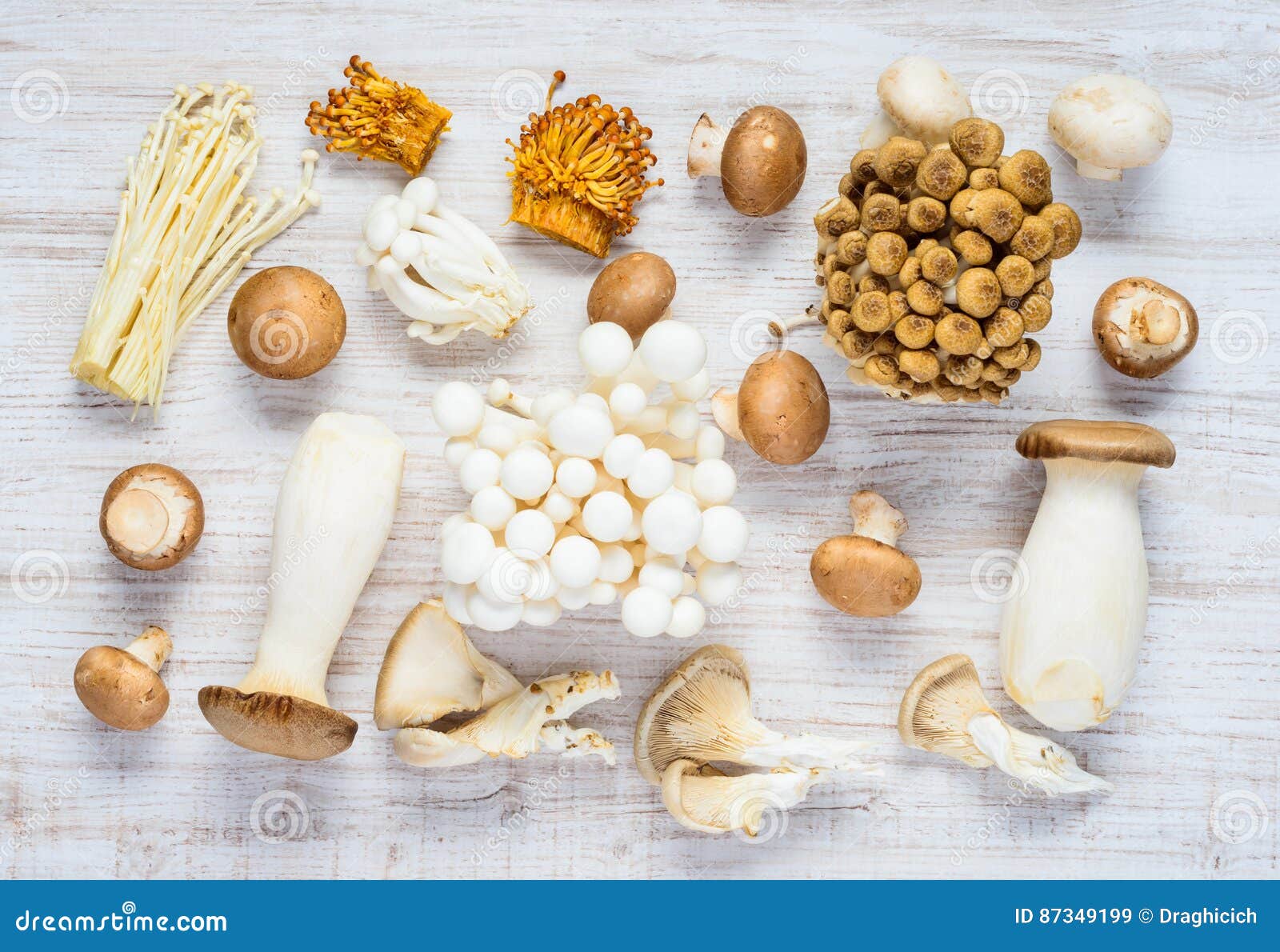 Verschiedene Arten Von Pilzen in Der Draufsicht Stockbild - Bild von ...