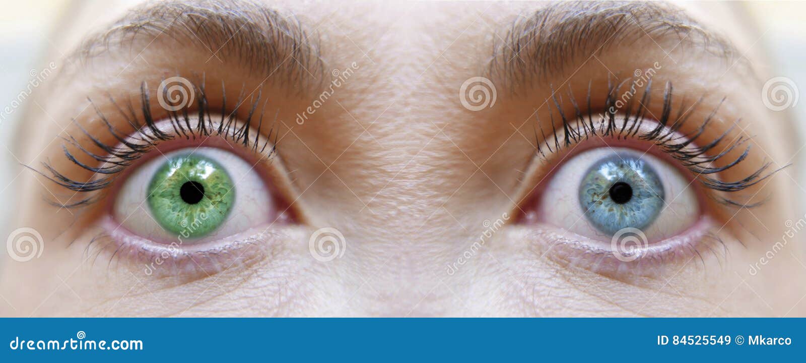 Verschiedene Augenfarbe-, Blaue Und Grüneaugen Stockbild - Bild von ...