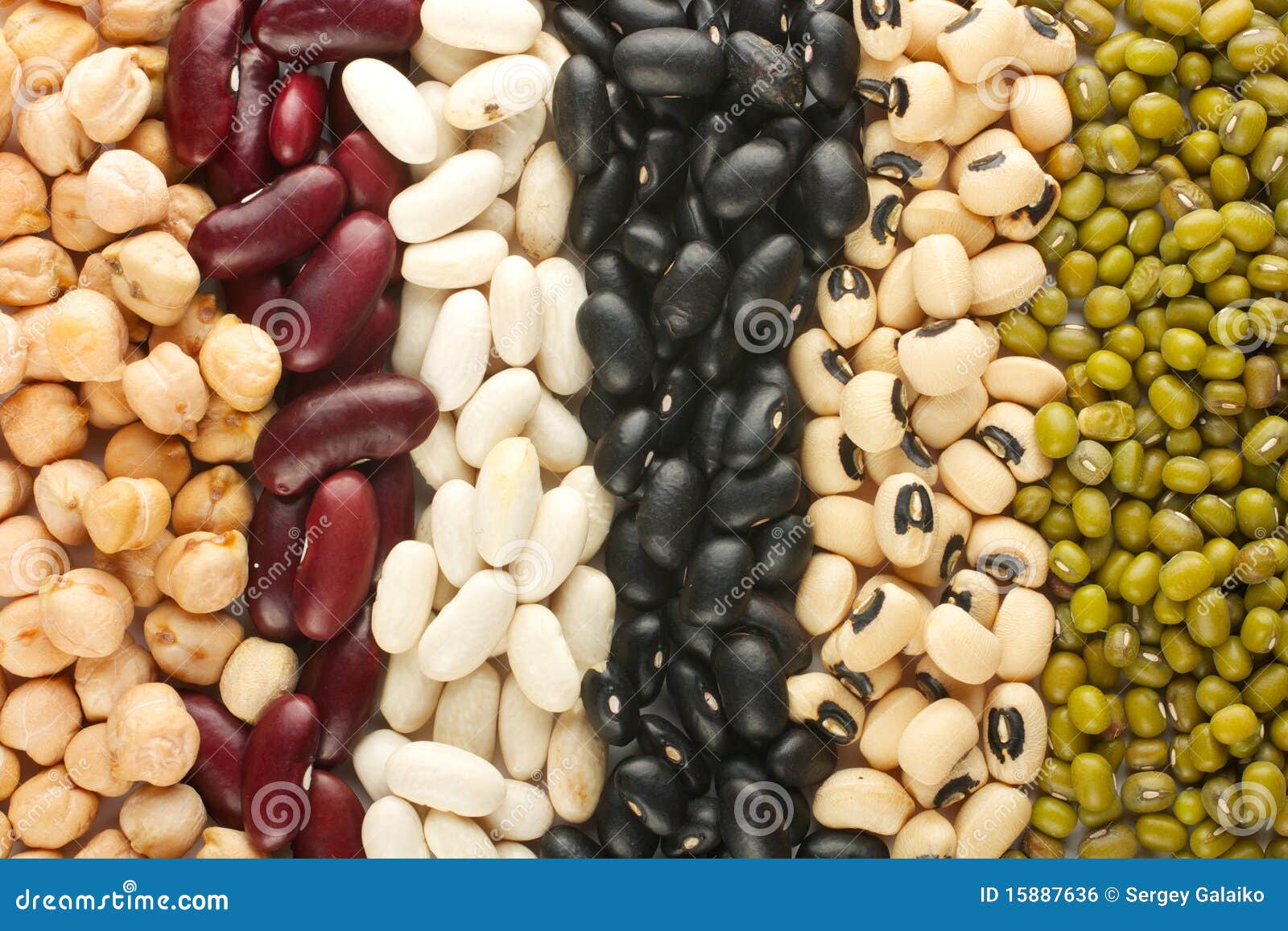 Verschiedene Bohnen stockfoto. Bild von landwirtschaft - 15887636