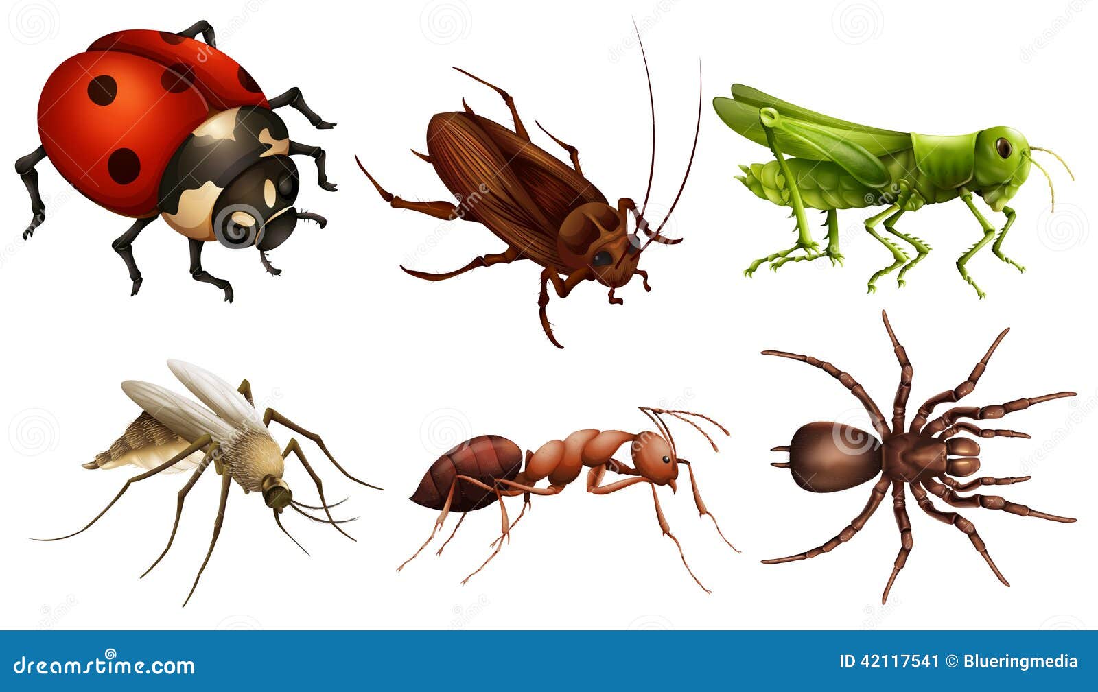 Verschiedene Insekte vektor abbildung. Illustration von wirbellose ...