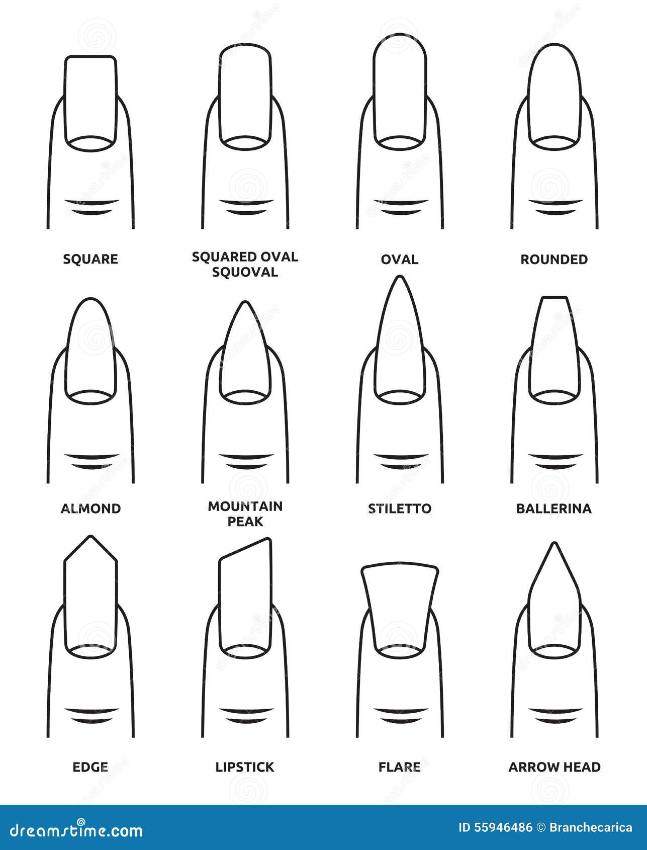 Verschiedene Nagelformen - Fingernagelmodetrends Stock Abbildung ...