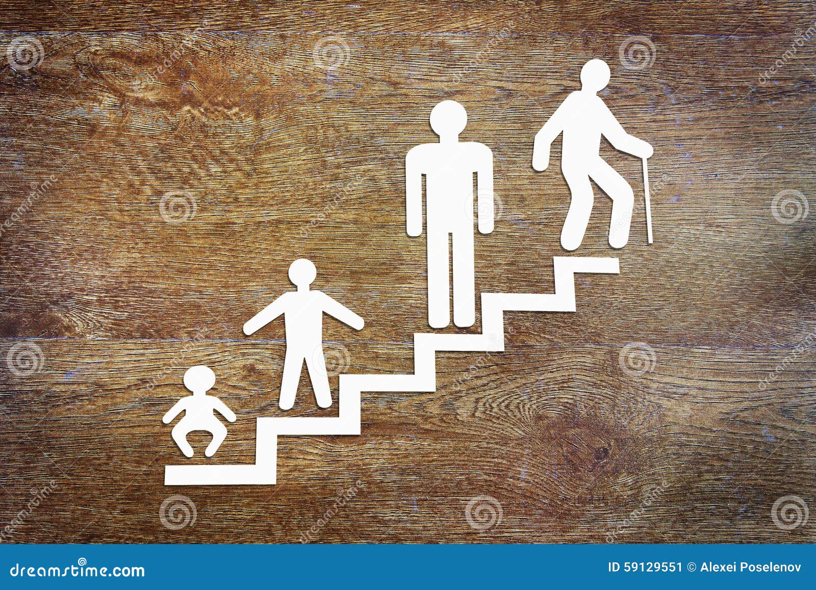 Verschiedene Phasen Der Menschlichen Entwicklung Stockbild - Bild von ...