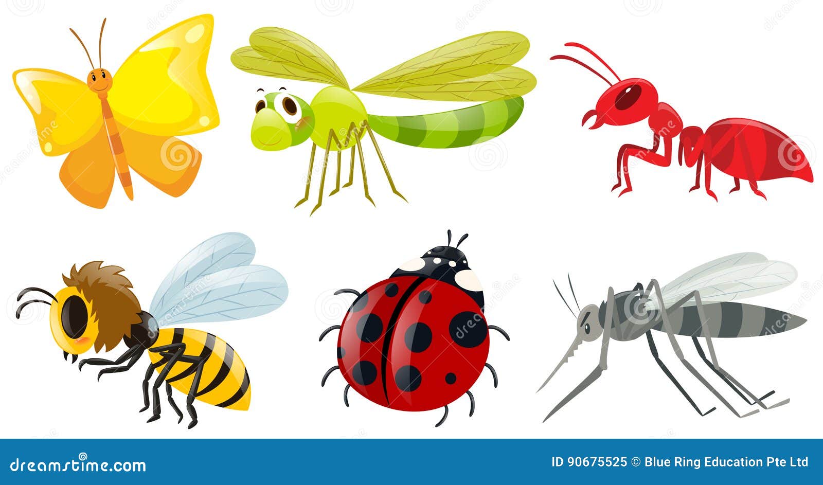 Verschillende Soorten Insecten Vector Illustratie - Illustration of ...