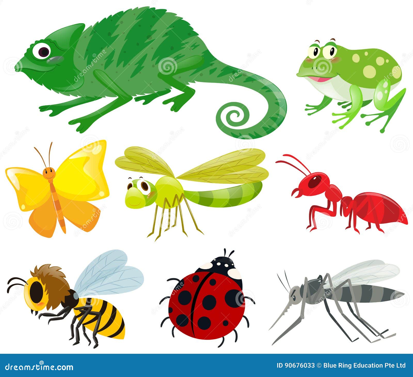 Verschillende Soorten Insecten Vector Illustratie - Illustration of ...