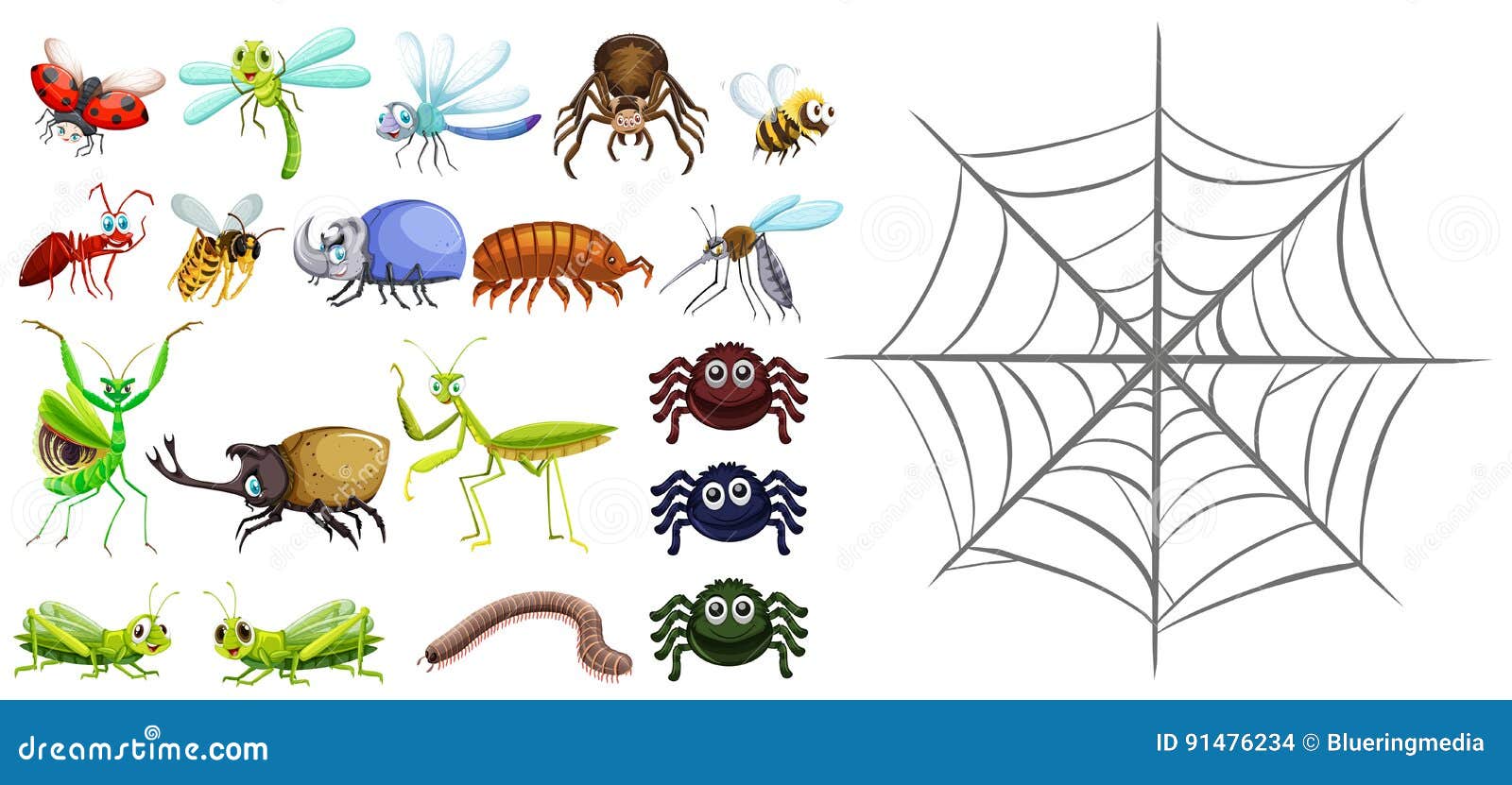 Verschillende Soorten Insecten En Spiderweb Vector Illustratie ...
