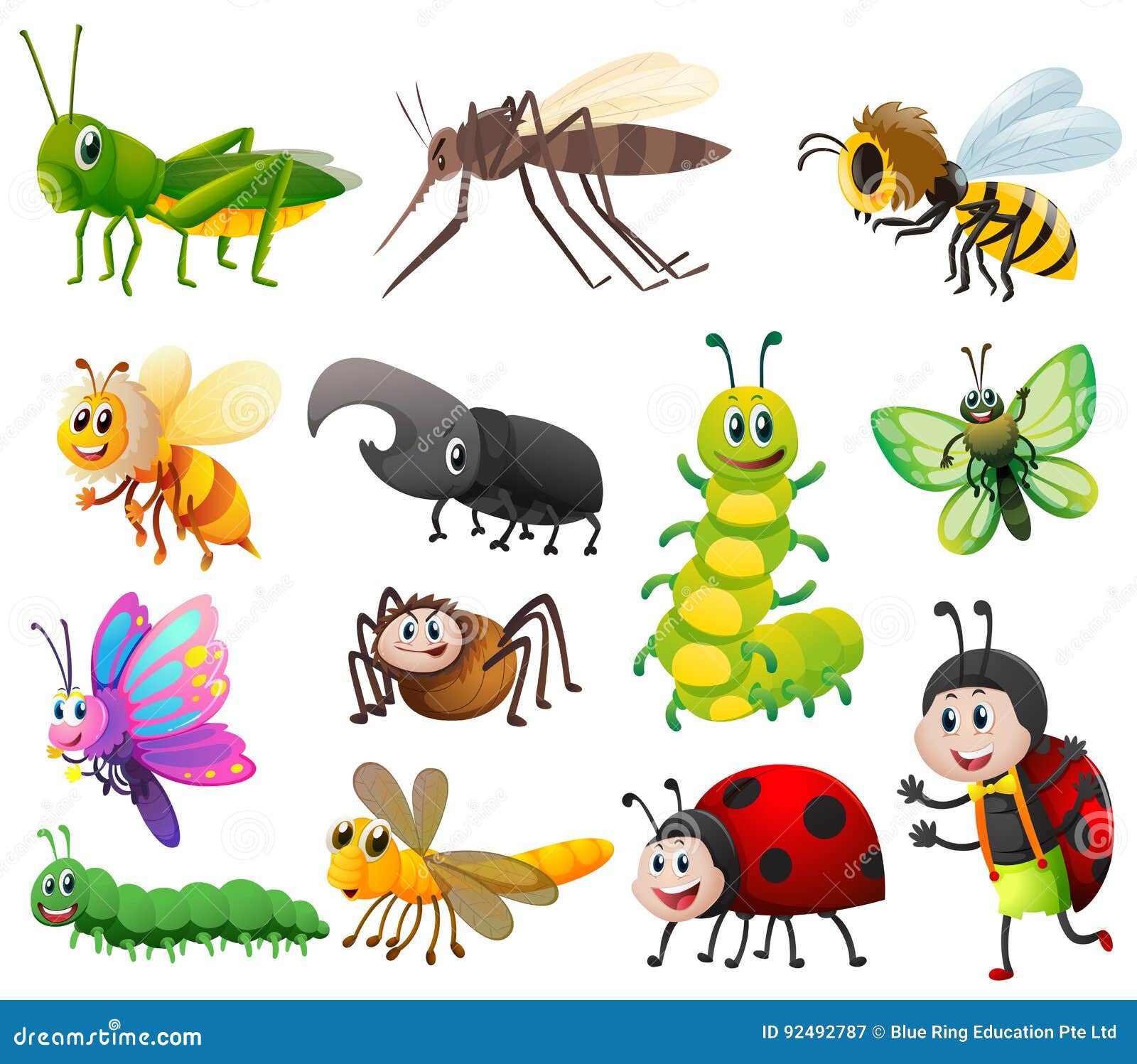 Verschillende Soorten Insecten Op Witte Achtergrond Vector Illustratie ...