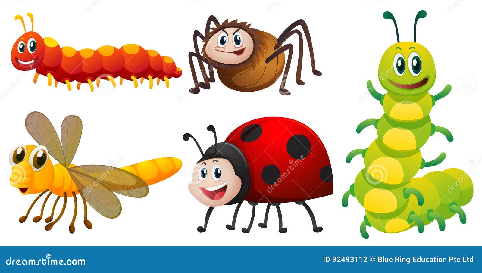 Verschillende Soorten Insecten Op Witte Achtergrond Vector Illustratie ...