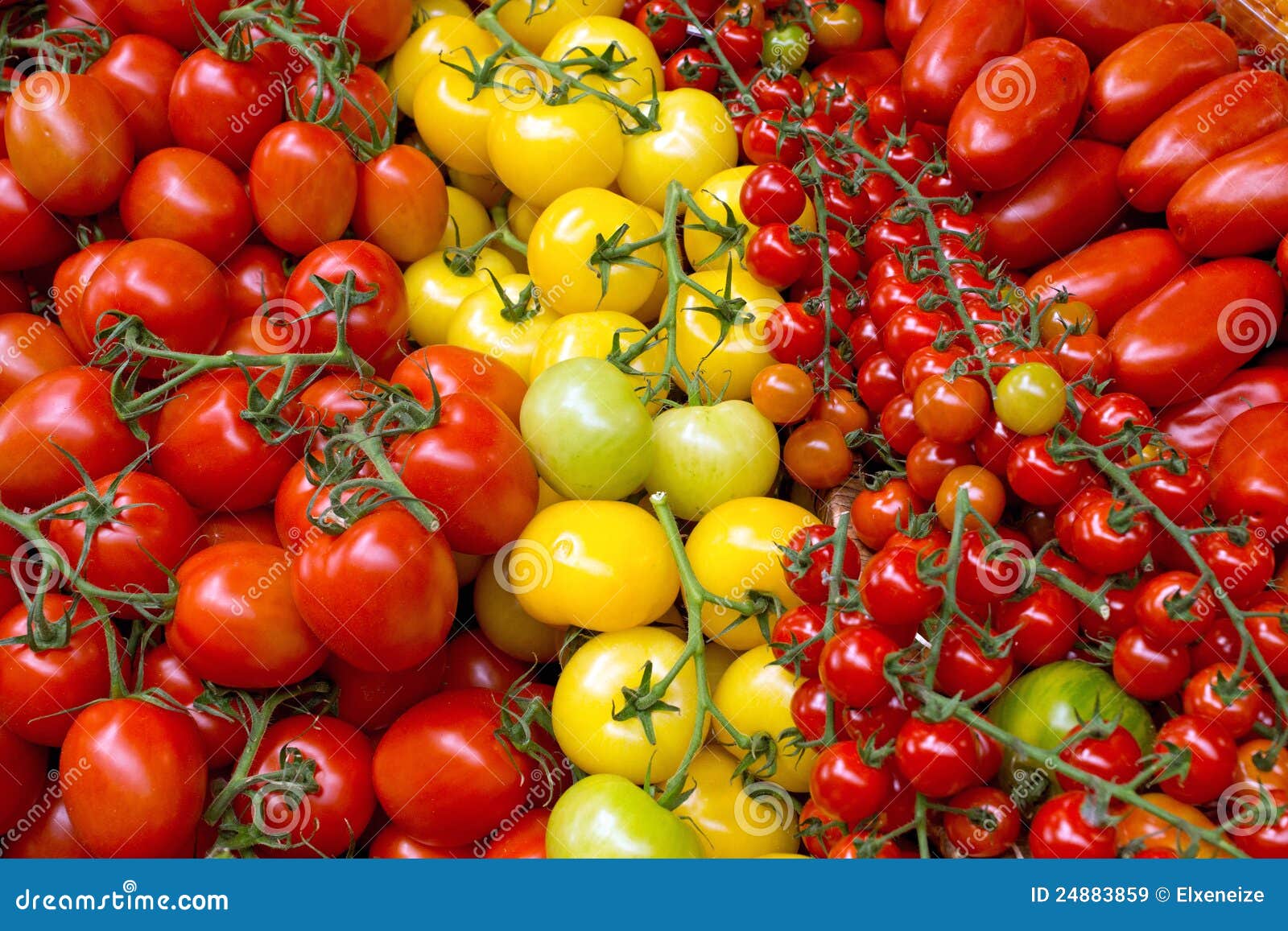 Verschillende Soorten Tomaten Stock Afbeelding - Image of achtergrond ...