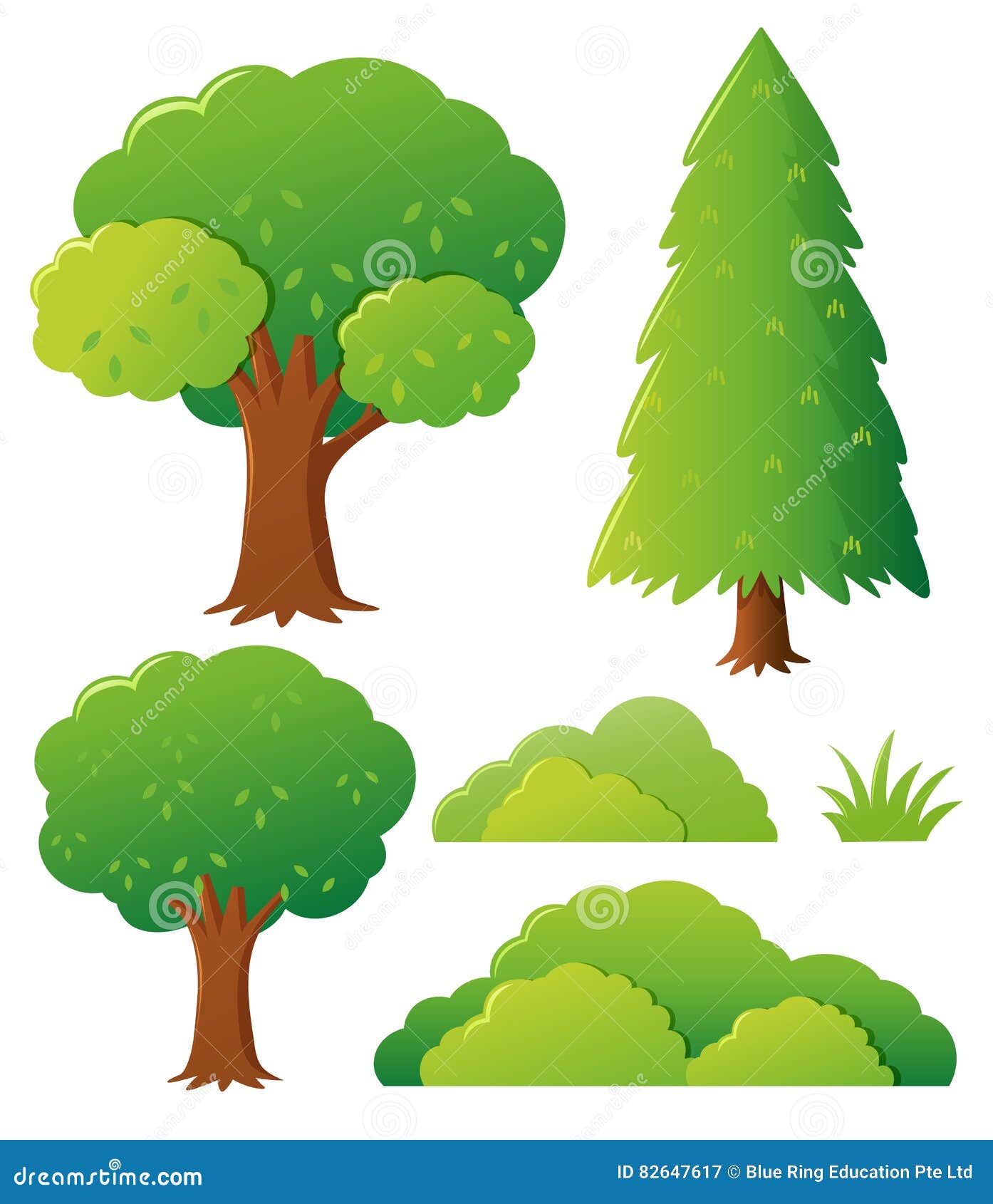 Verschillende Types Van Boom Vector Illustratie - Illustration of ...