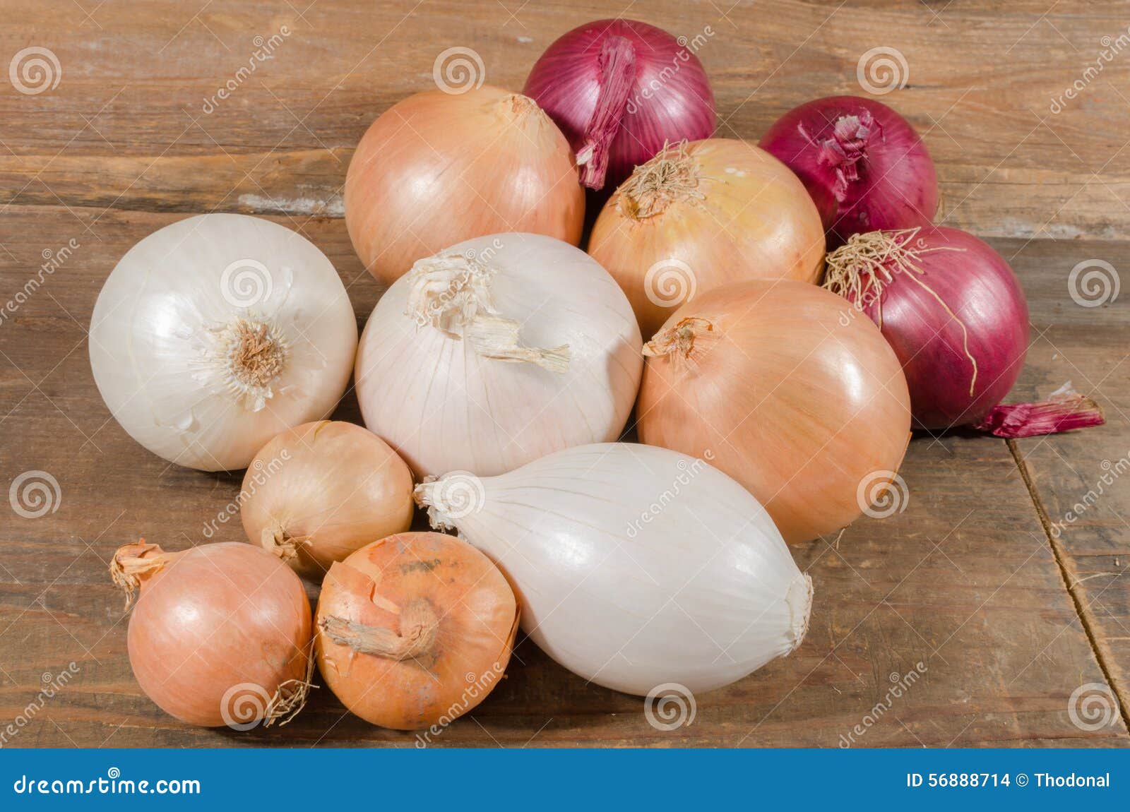 Verschillende Types Van Uien Stock Foto - Image of zoet, vegetariër ...