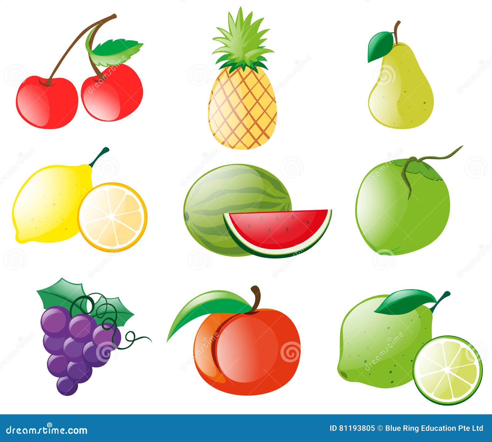 Verschillende Types Van Vruchten Stock Illustratie - Illustration of ...