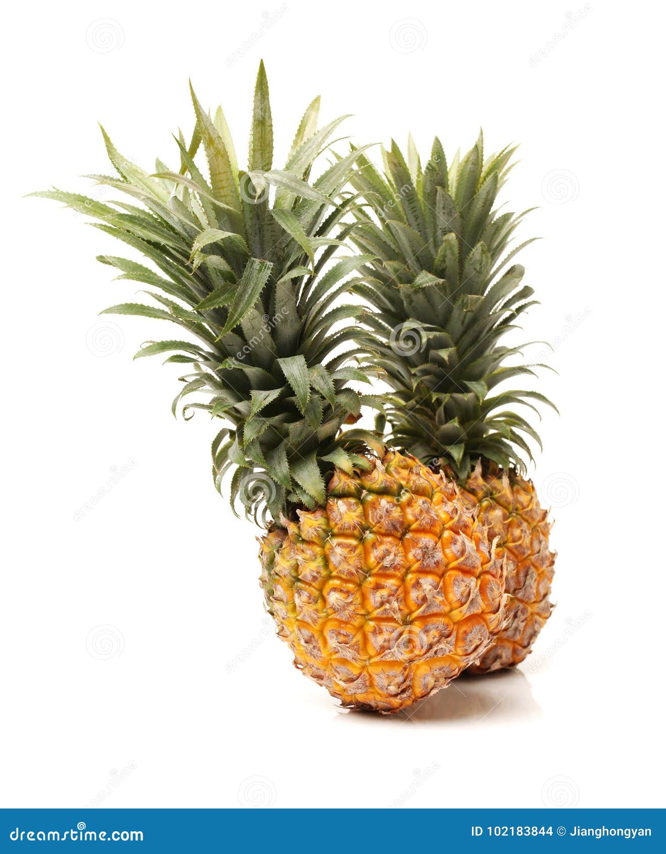 Verse Ananas stock foto. Image of organisch, eten, versheid - 102183844