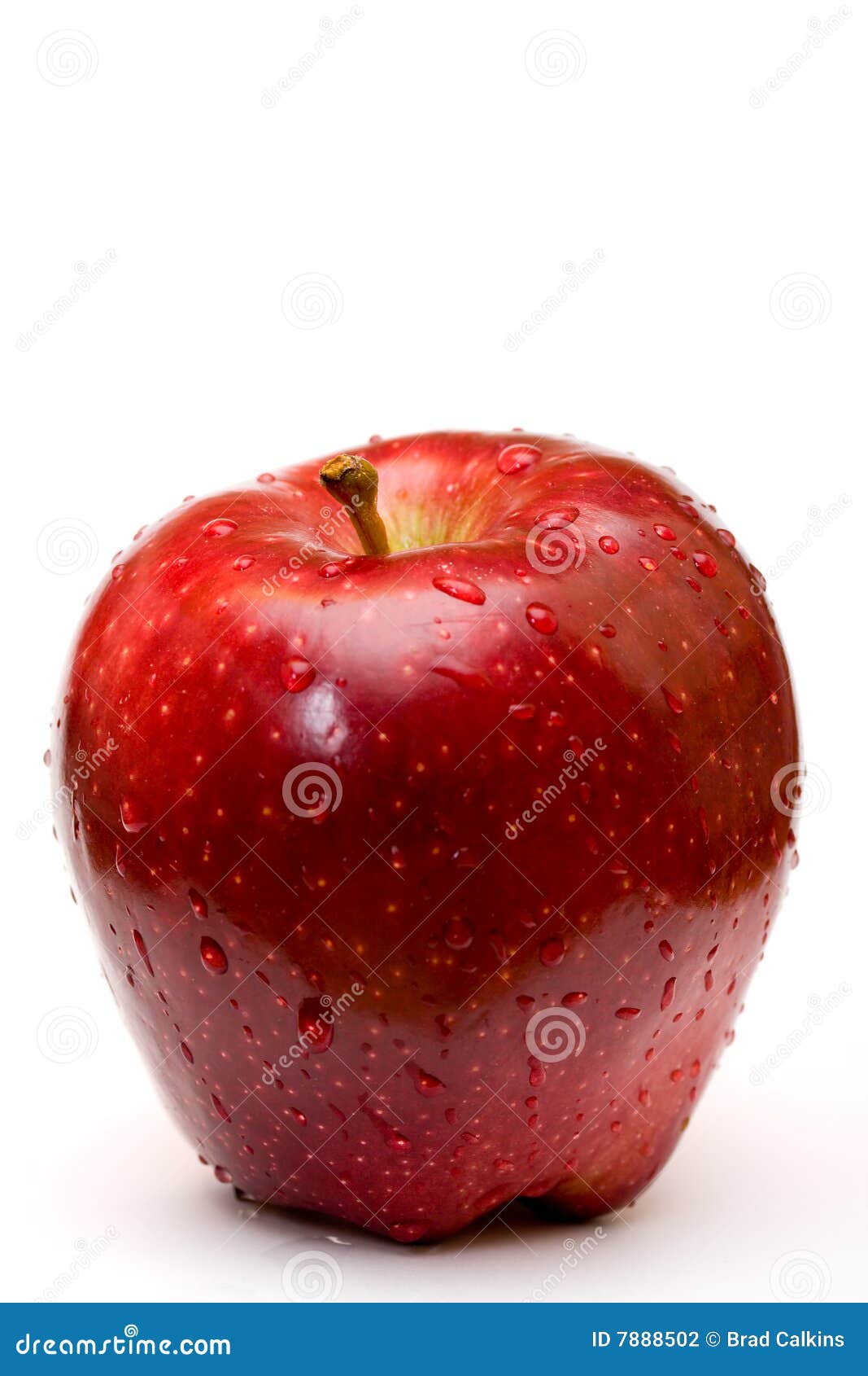 Verse Appel stock foto. Image of druppeltjes, vers, stuk - 7888502