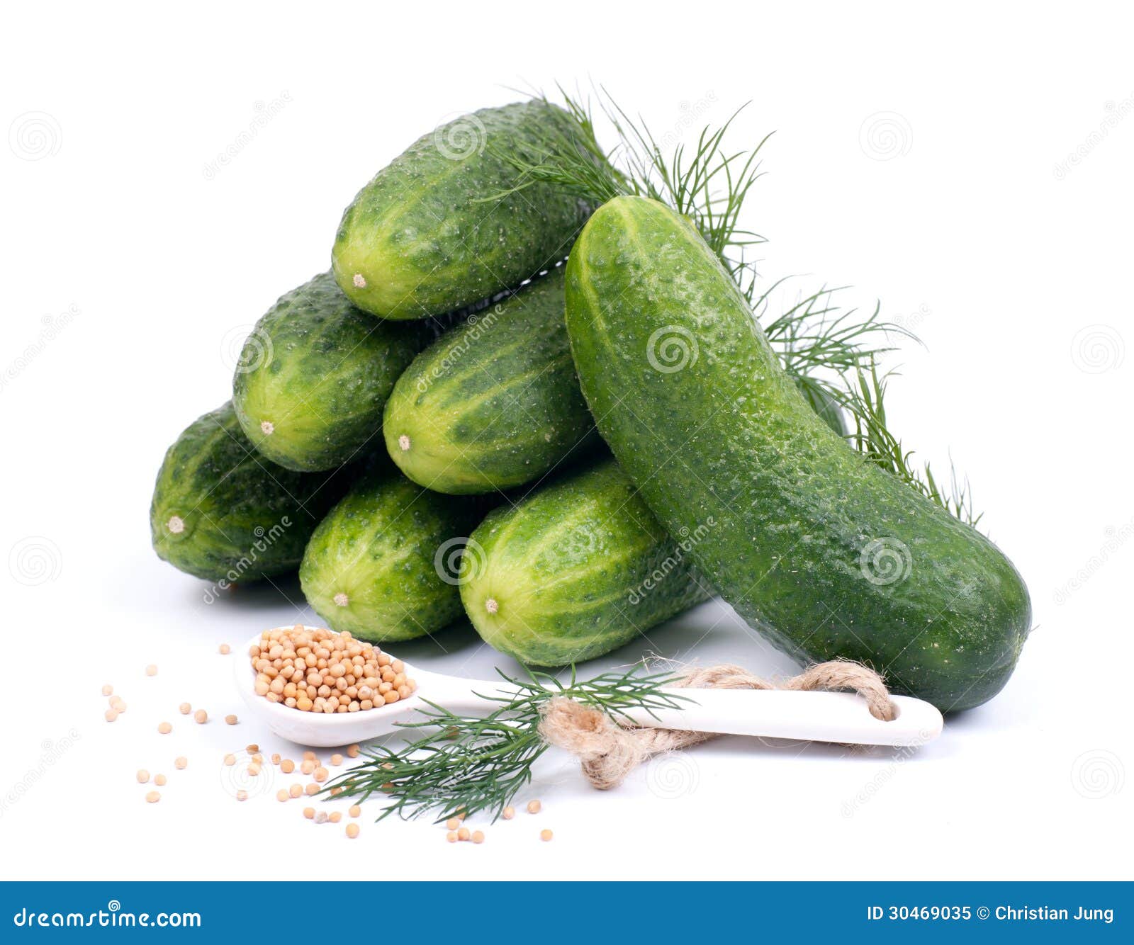 Verse augurk stock afbeelding. Image of installatie, augurk - 30469035