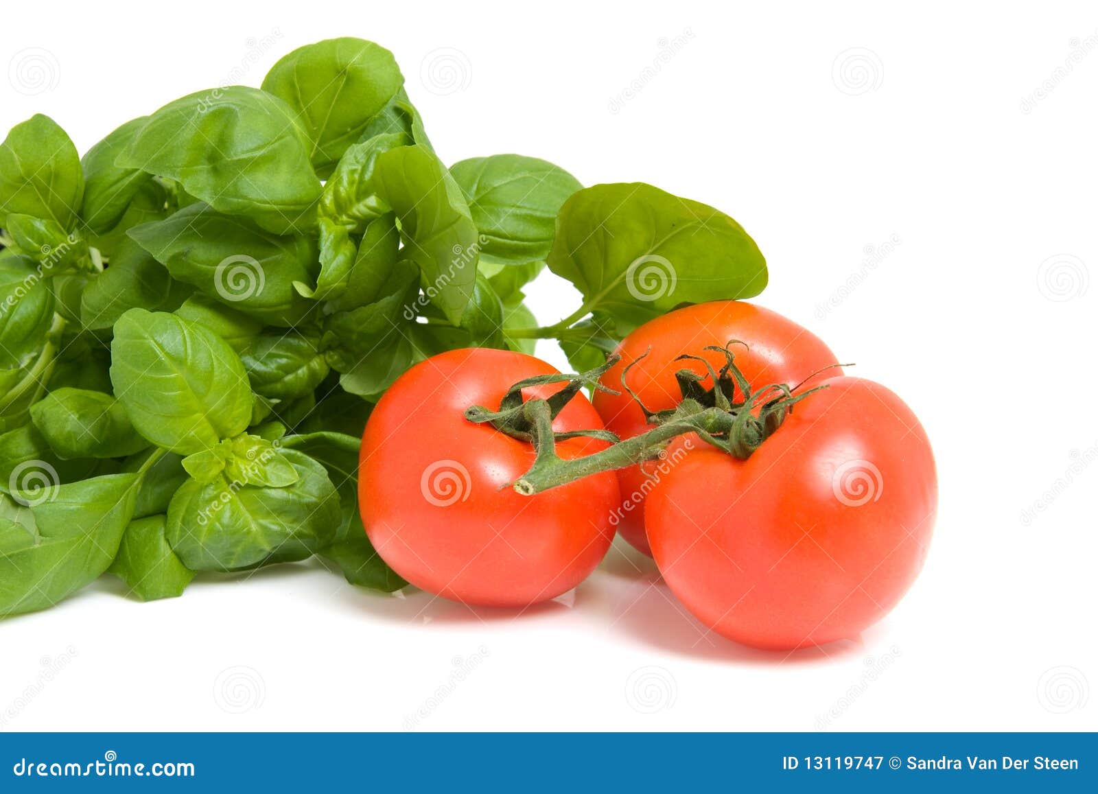 Verse basilicum en tomaten stock afbeelding. Image of installatie ...