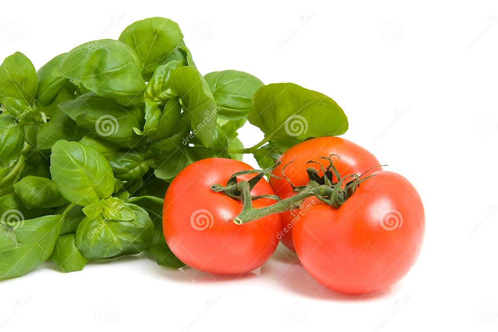 Verse basilicum en tomaten stock afbeelding. Image of installatie ...