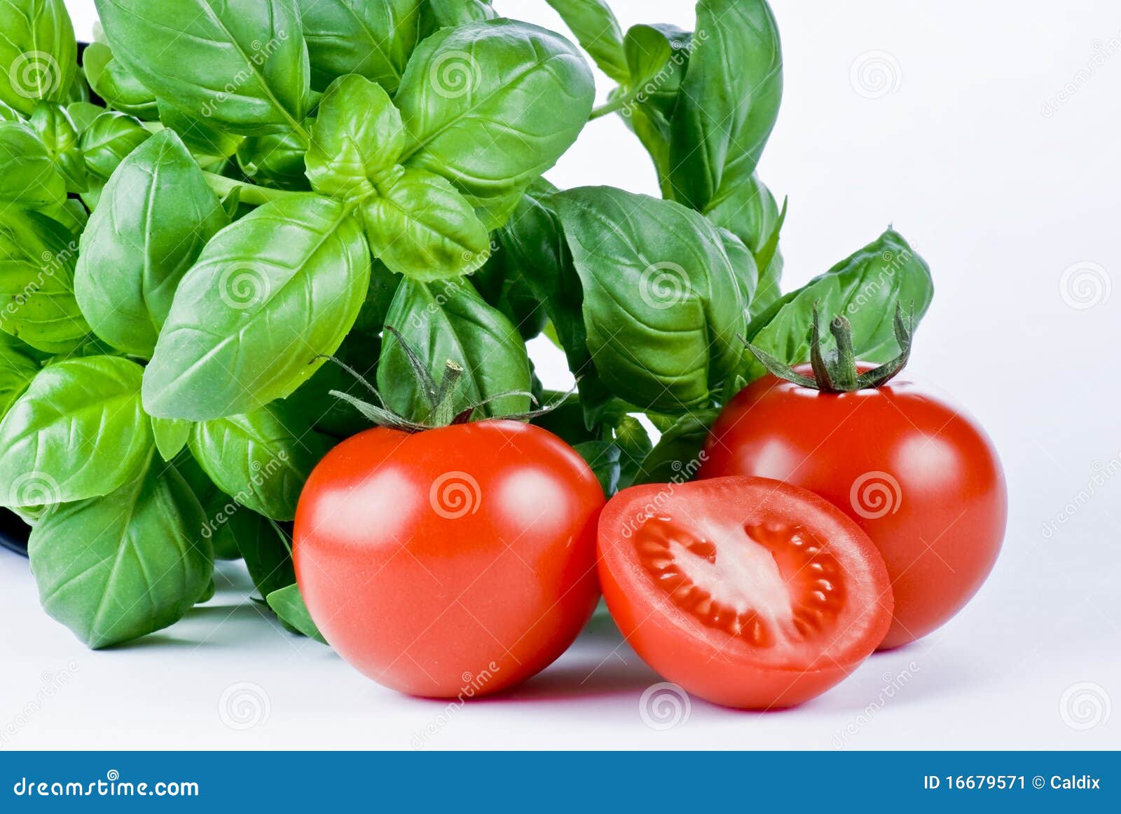 Verse basilicum en tomaten stock afbeelding. Image of kleur - 16679571