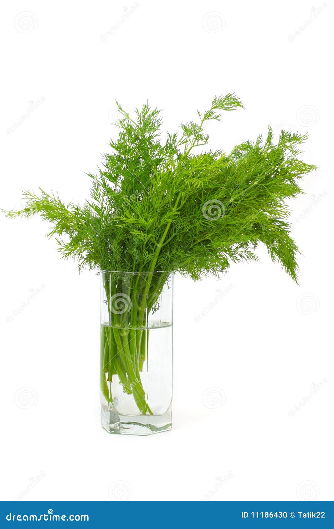 Verse Dille (kruid) Op Wit in Een Waterglas. Stock Foto - Image of ...