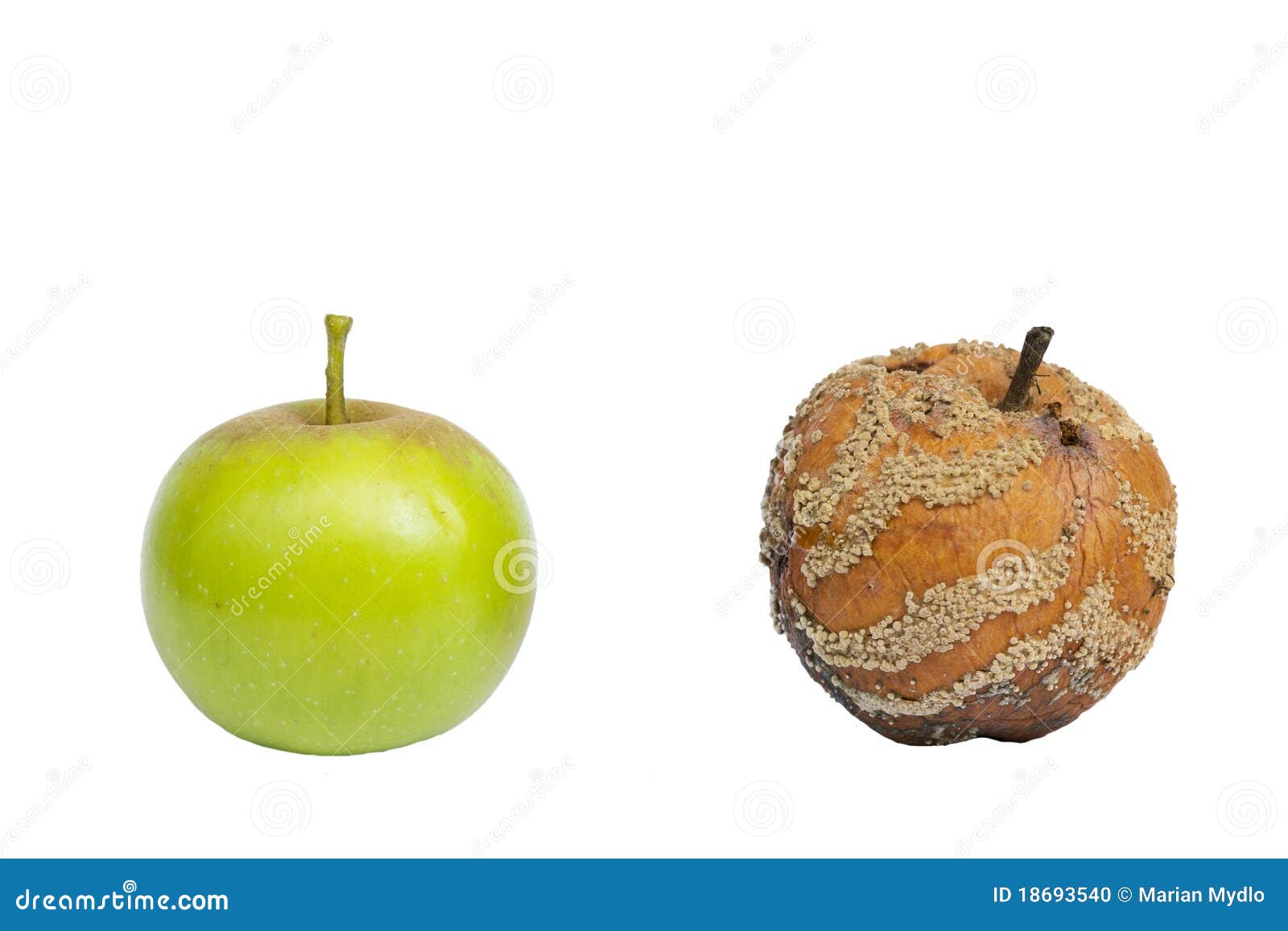 Verse en rotte appel stock foto. Image of verandering - 18693540