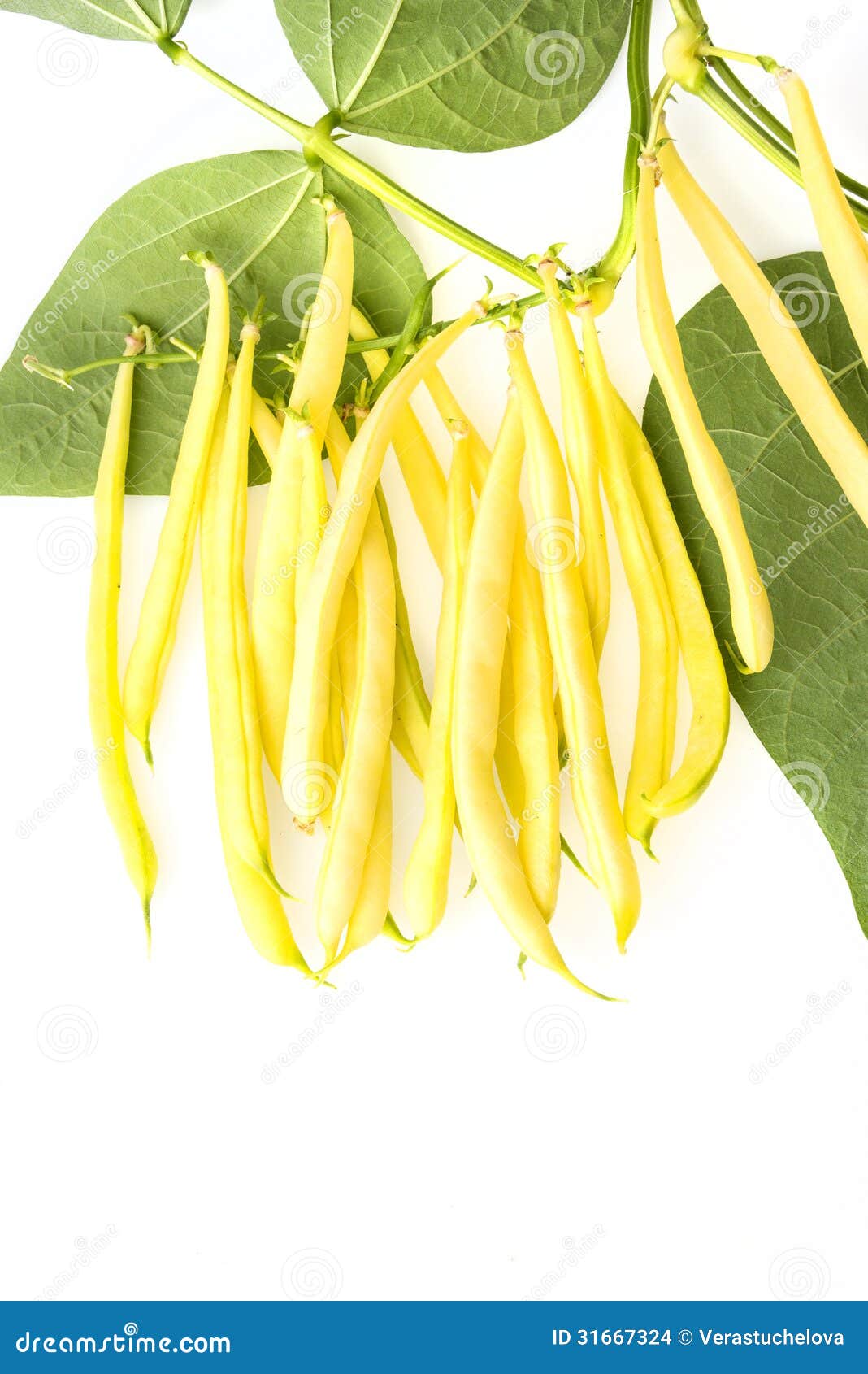 Verse gele bonen stock foto. Image of eten, ingrediënt - 31667324