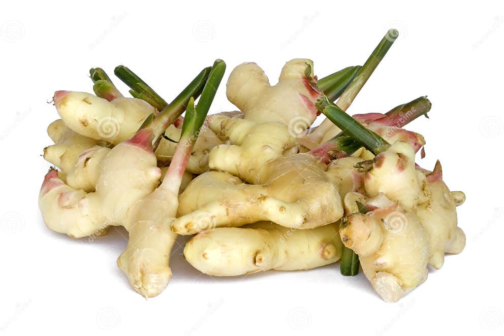 Verse Gember stock afbeelding. Image of nave, vers, tropisch - 3305079