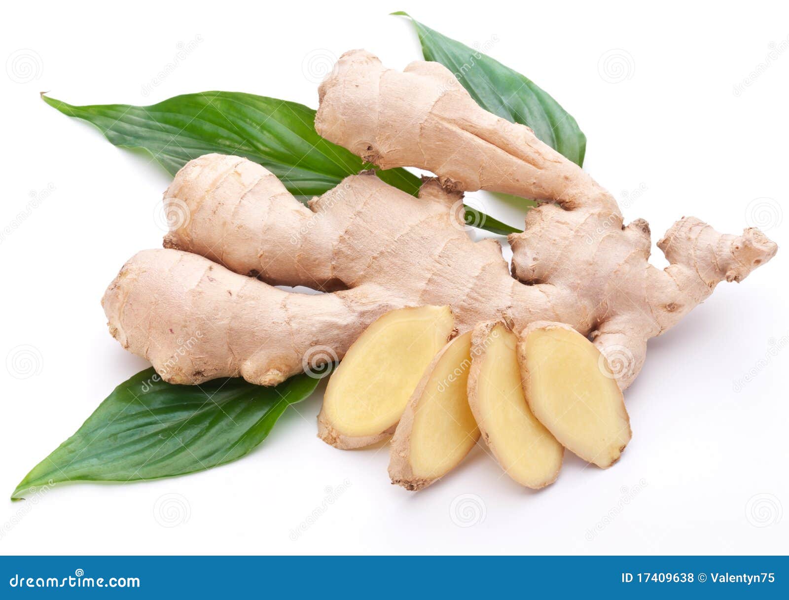 Verse gember met bladeren. stock foto. Image of blad - 17409638