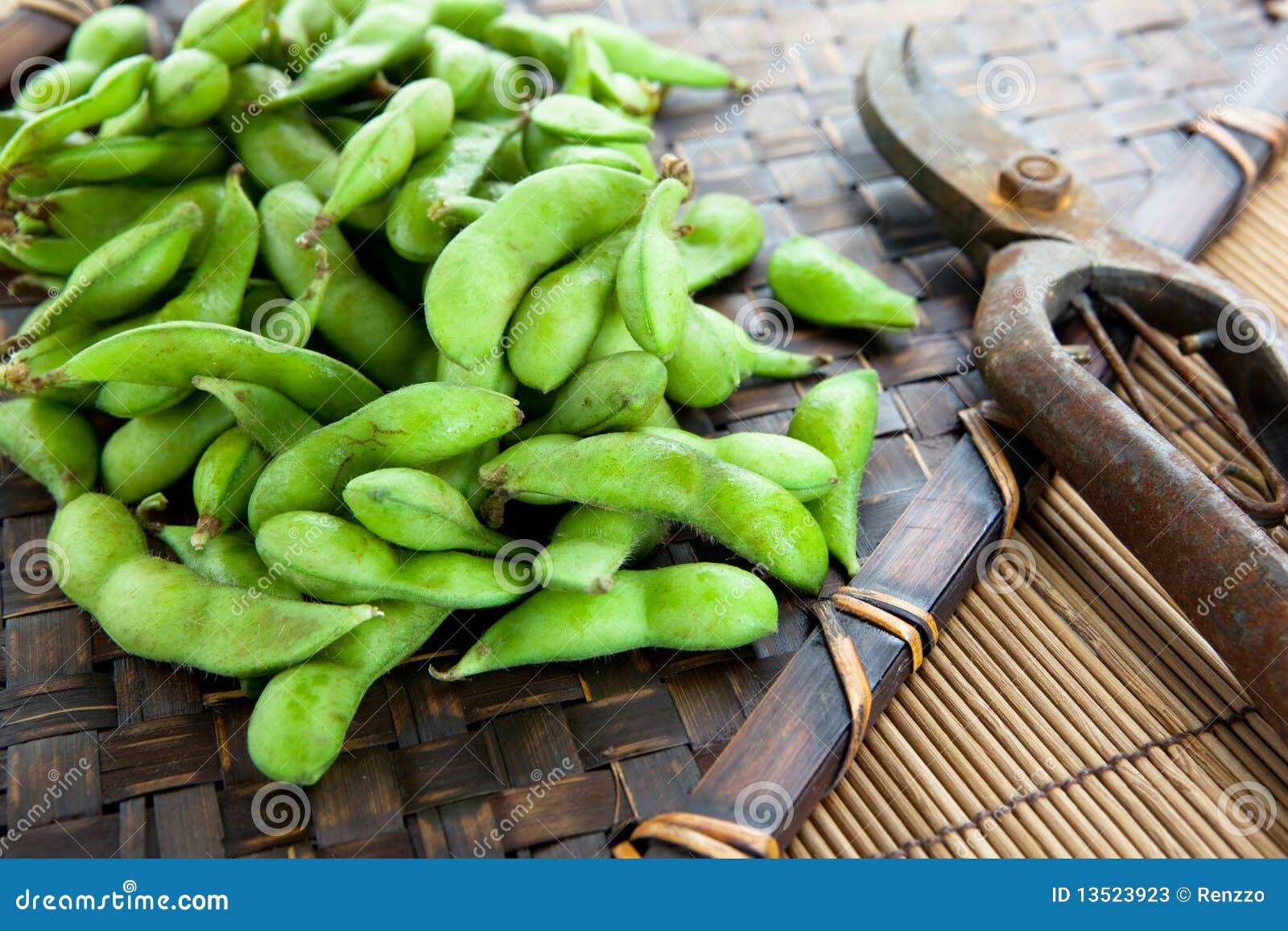 Verse Geoogste Jonge Sojabonen Stock Afbeelding - Image of voeding ...