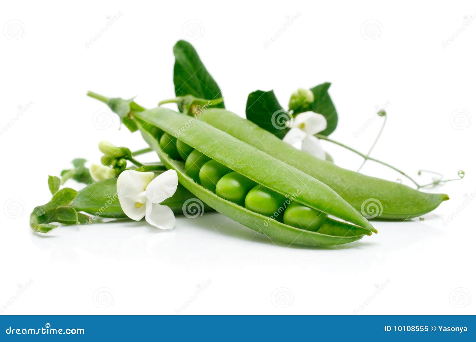 Verse Groene Erwt in De Peul Met Bloemen Stock Afbeelding - Image of ...