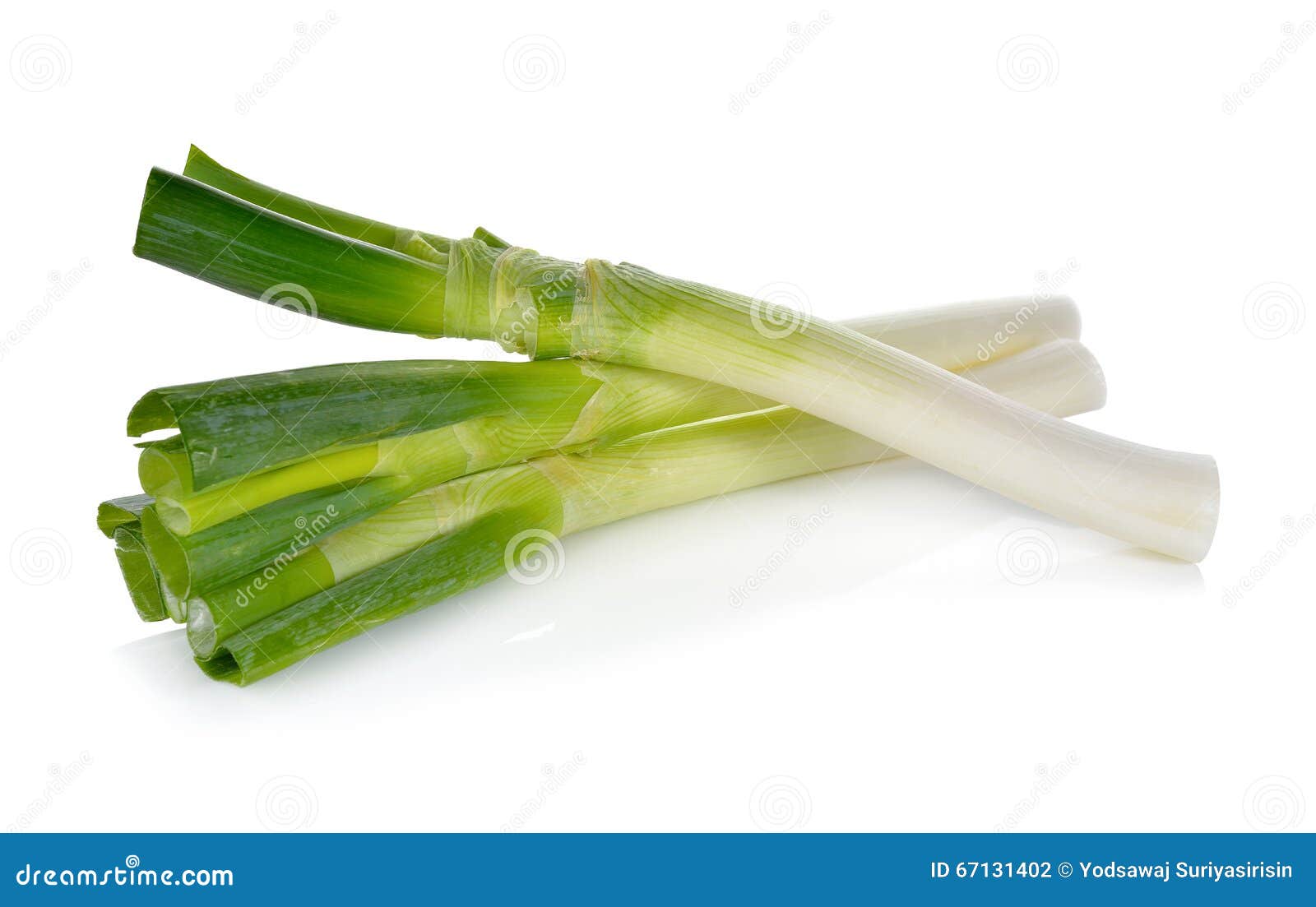 Verse Groene Japanse Bundelende Ui Op Wit Stock Foto - Image of ...