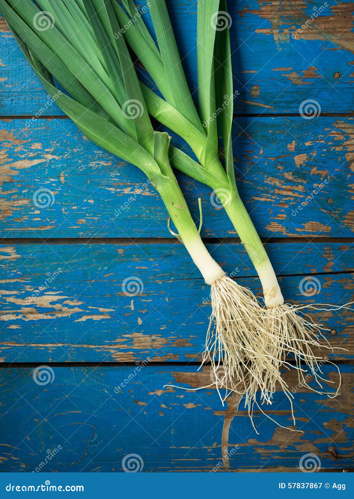 Verse groene ui stock afbeelding. Image of ingrediënt - 57837867