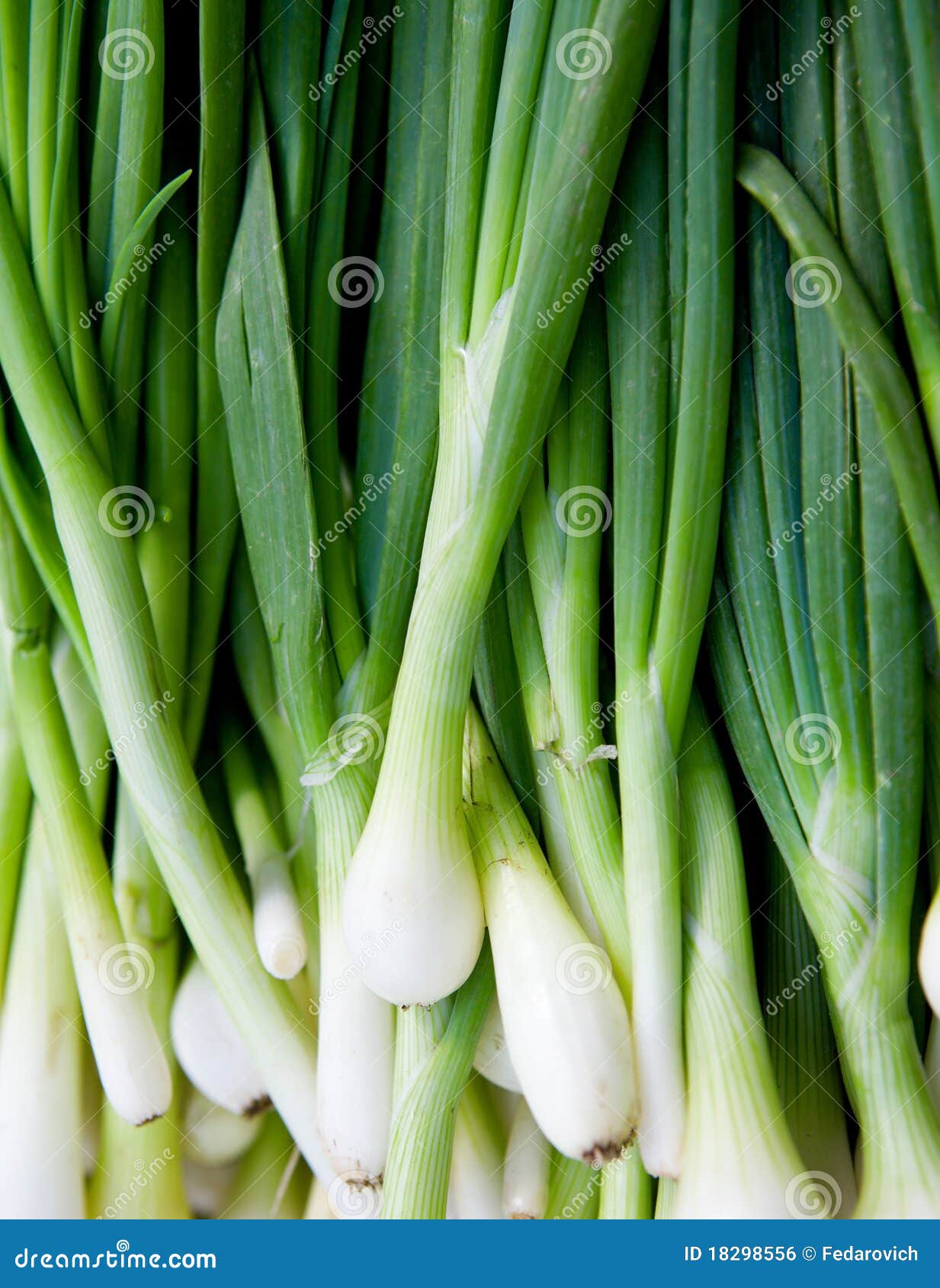 Verse groene uien stock foto. Image of heerlijk, rijp - 18298556