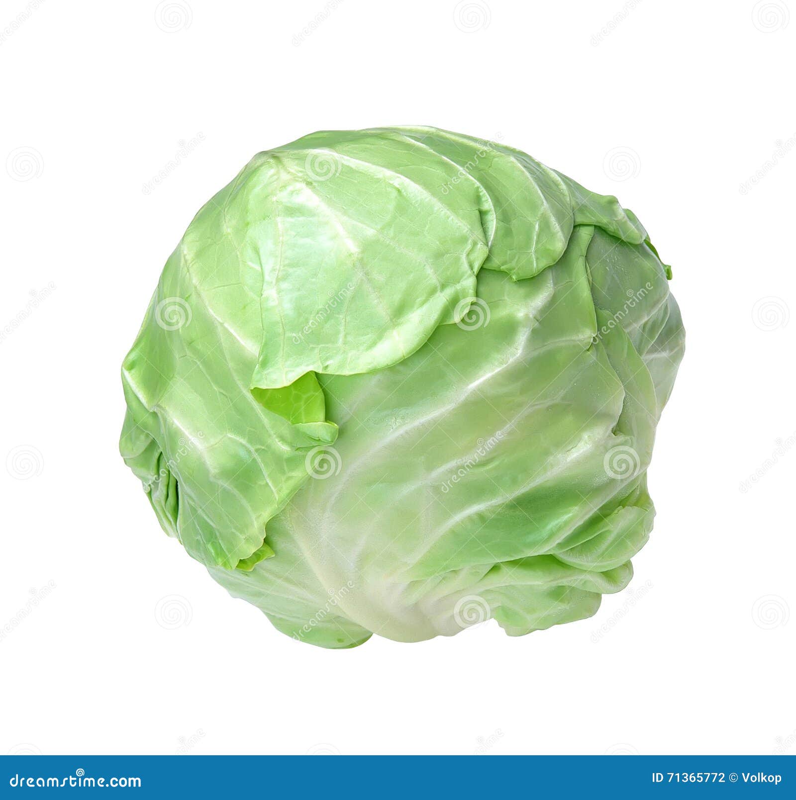 Verse Kool Die Op Wit Wordt Geïsoleerdd Stock Foto - Image of isoleer ...