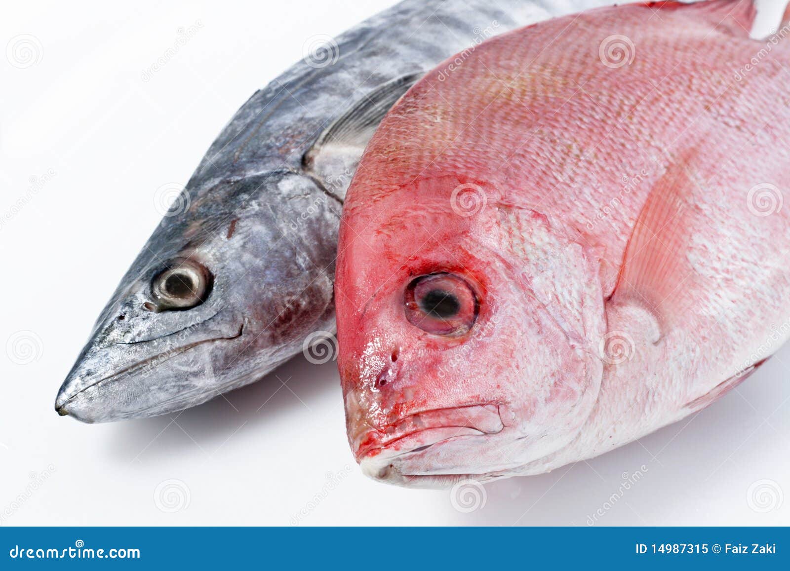 Verse Makreel En Rode Snapper Stock Afbeelding - Image of glinster ...