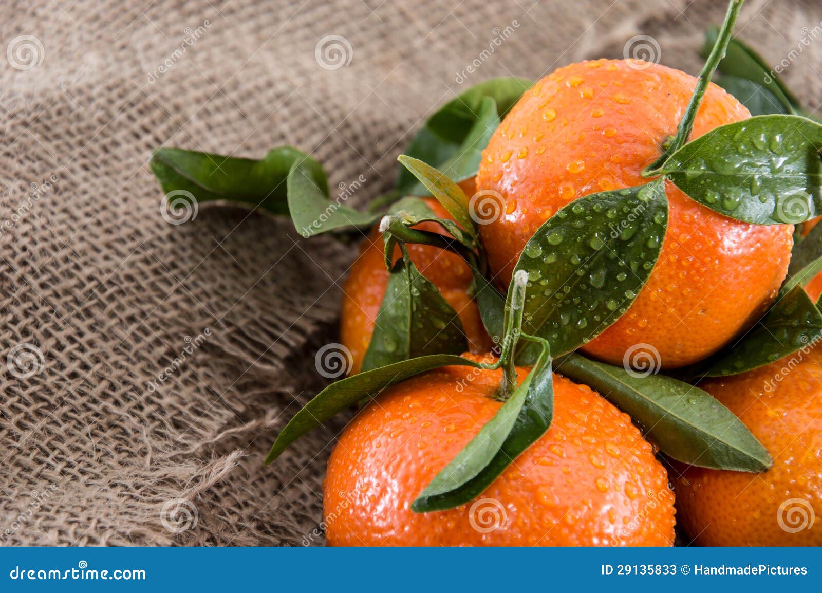 Verse Mandarijnen Met Bladeren Stock Afbeelding - Image of versheid ...