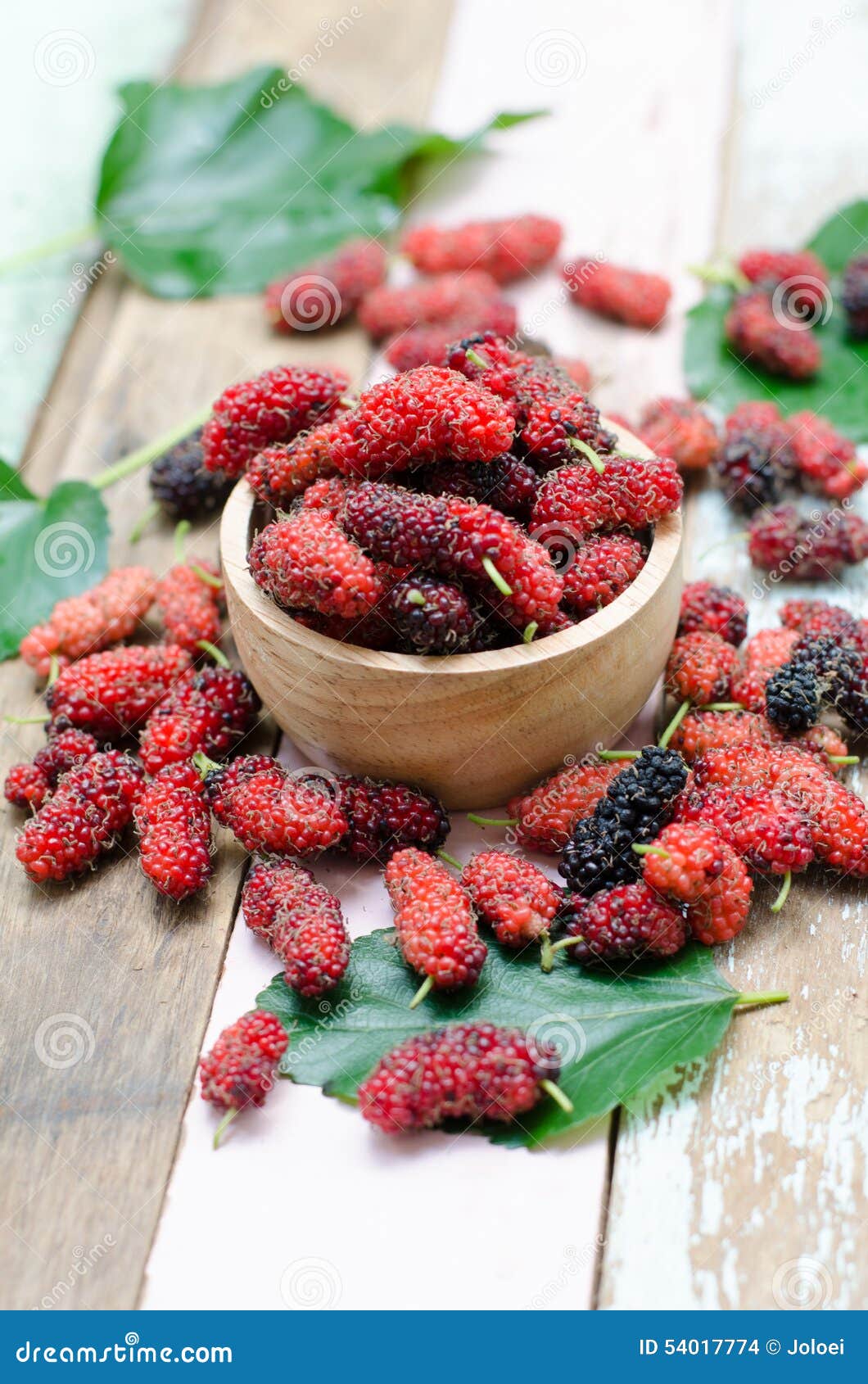 Verse moerbeiboom stock foto. Image of zwart, organisch - 54017774