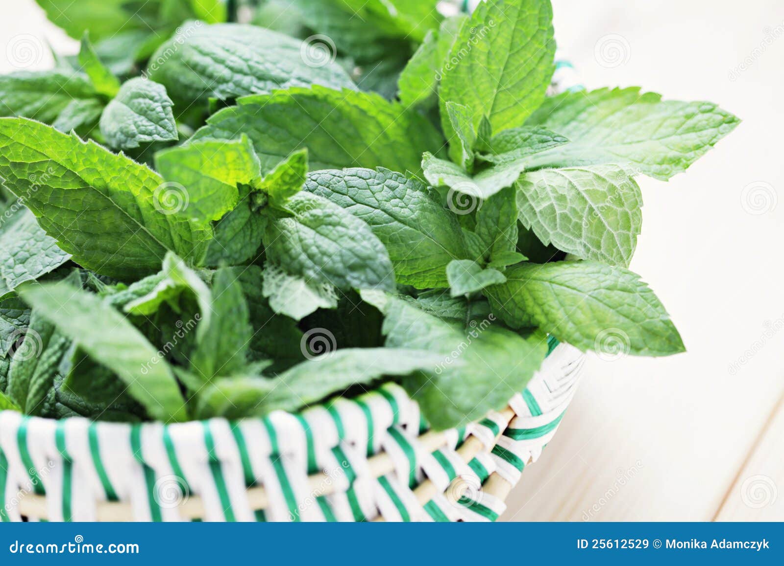 Verse munt stock afbeelding. Image of pepermunt, organisch - 25612529