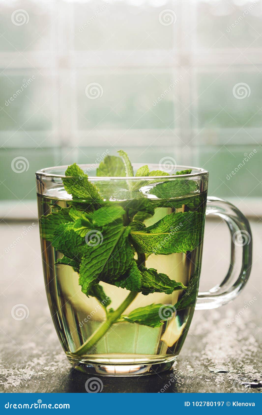 Verse muntthee stock afbeelding. Image of munt, geneeskunde - 102780197