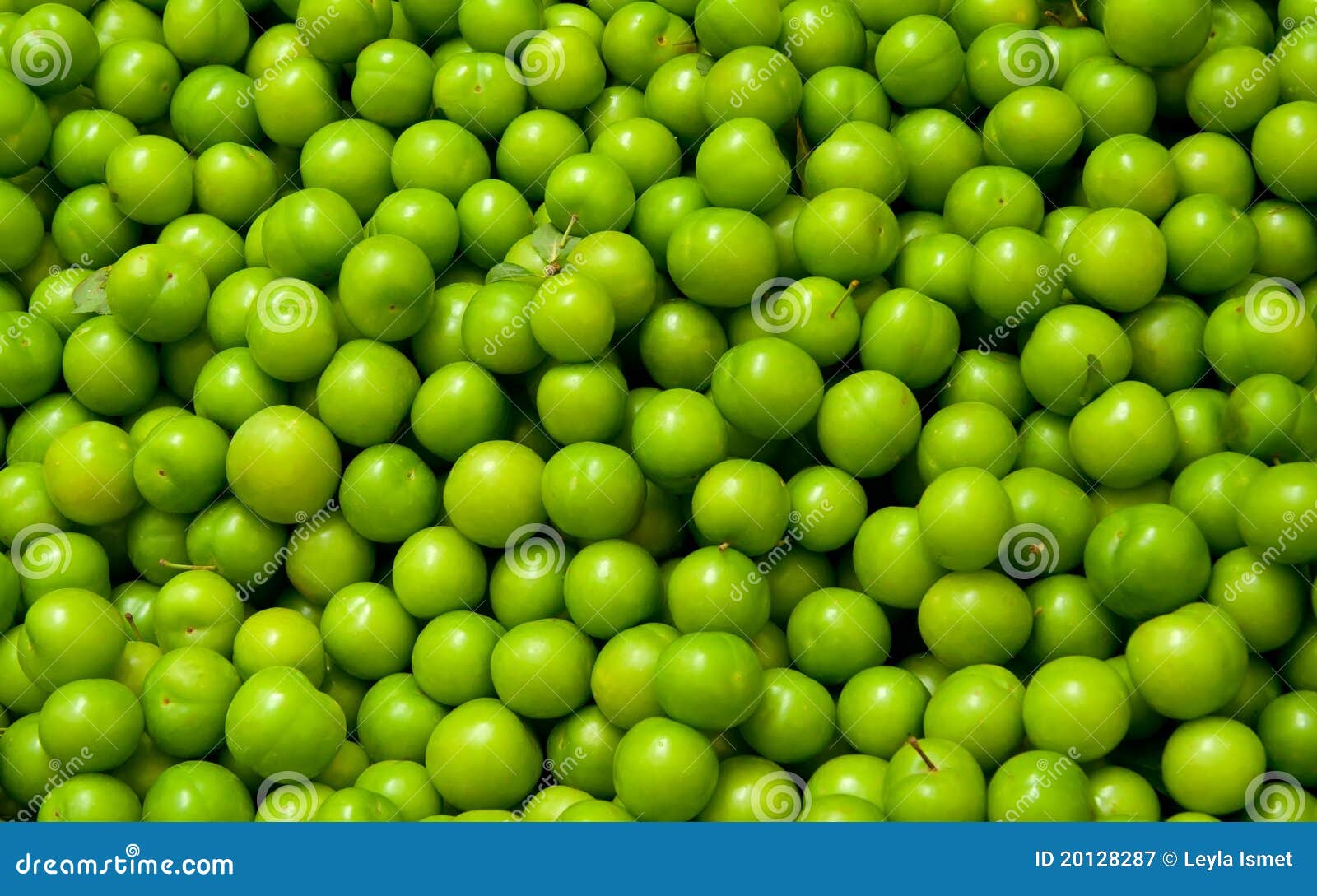Verse Organische Groene Pruimen Stock Afbeelding - Image of groep ...