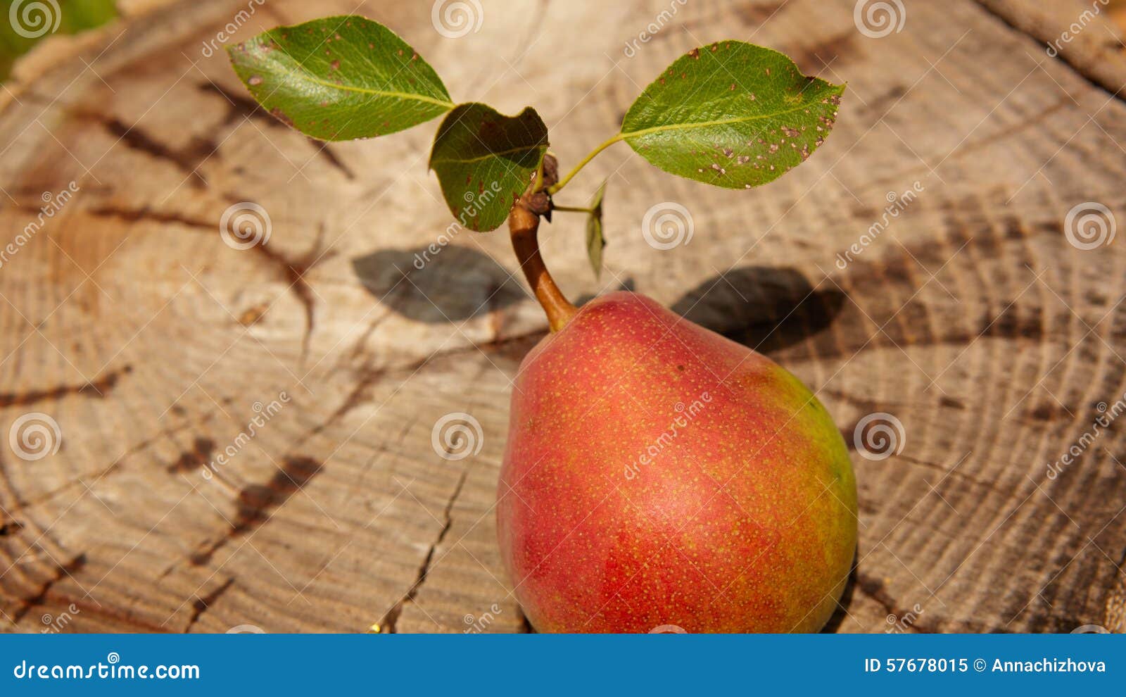 Verse Organische Peer Op Oud Hout Stock Afbeelding - Image of niemand ...