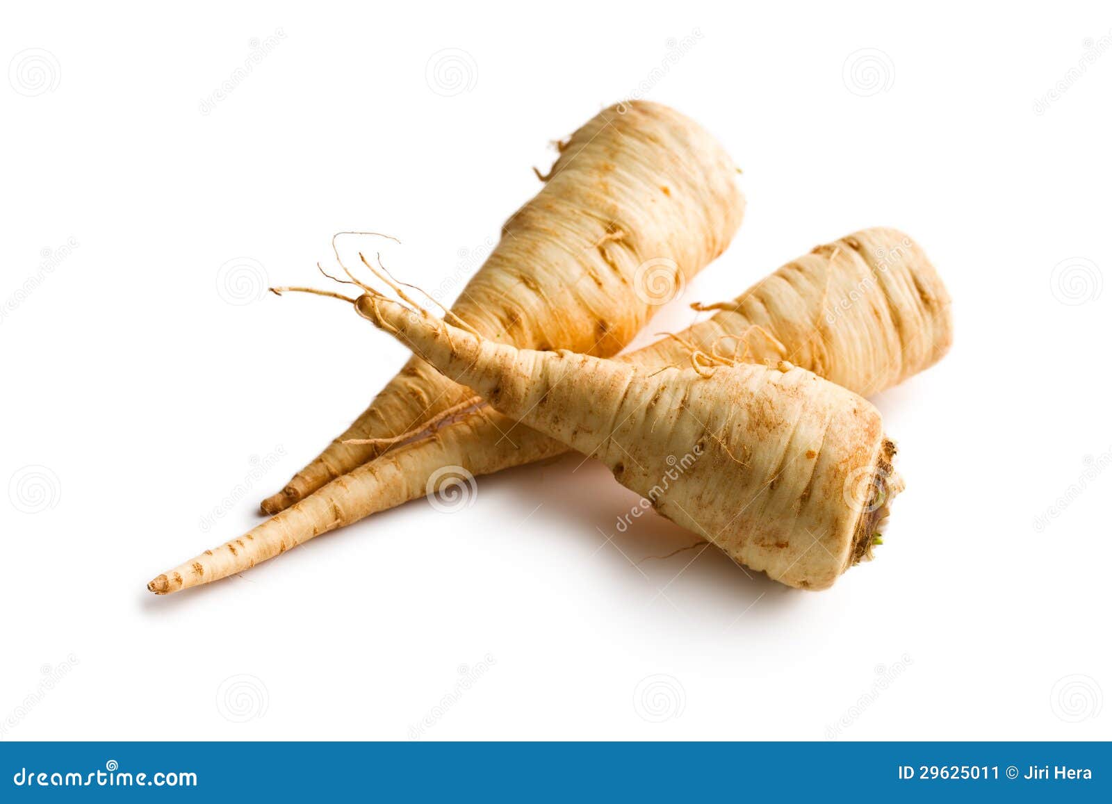 Verse pastinaak stock afbeelding. Image of peterselie - 29625011