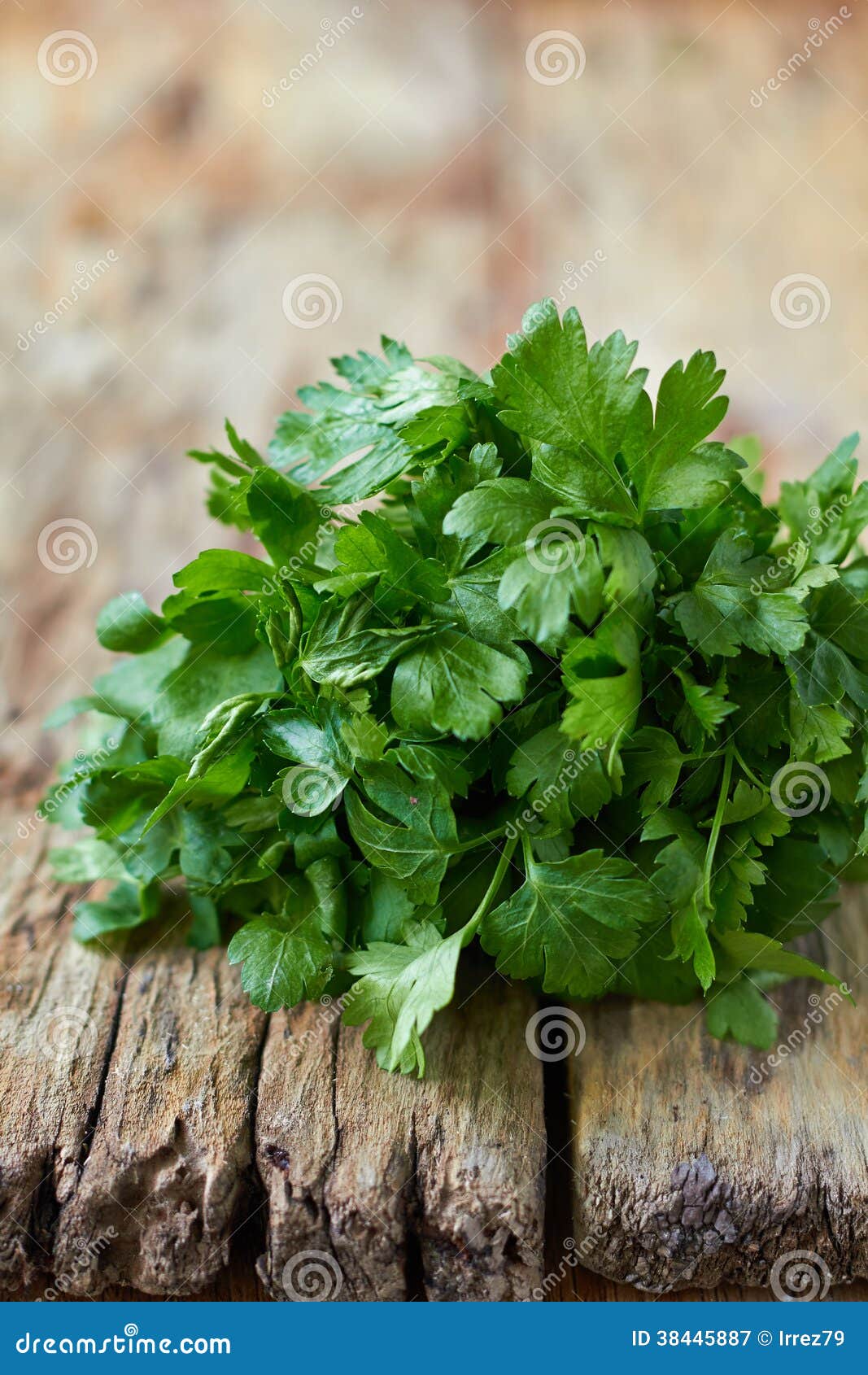 Verse peterselie stock afbeelding. Image of dieet, peterselie - 38445887