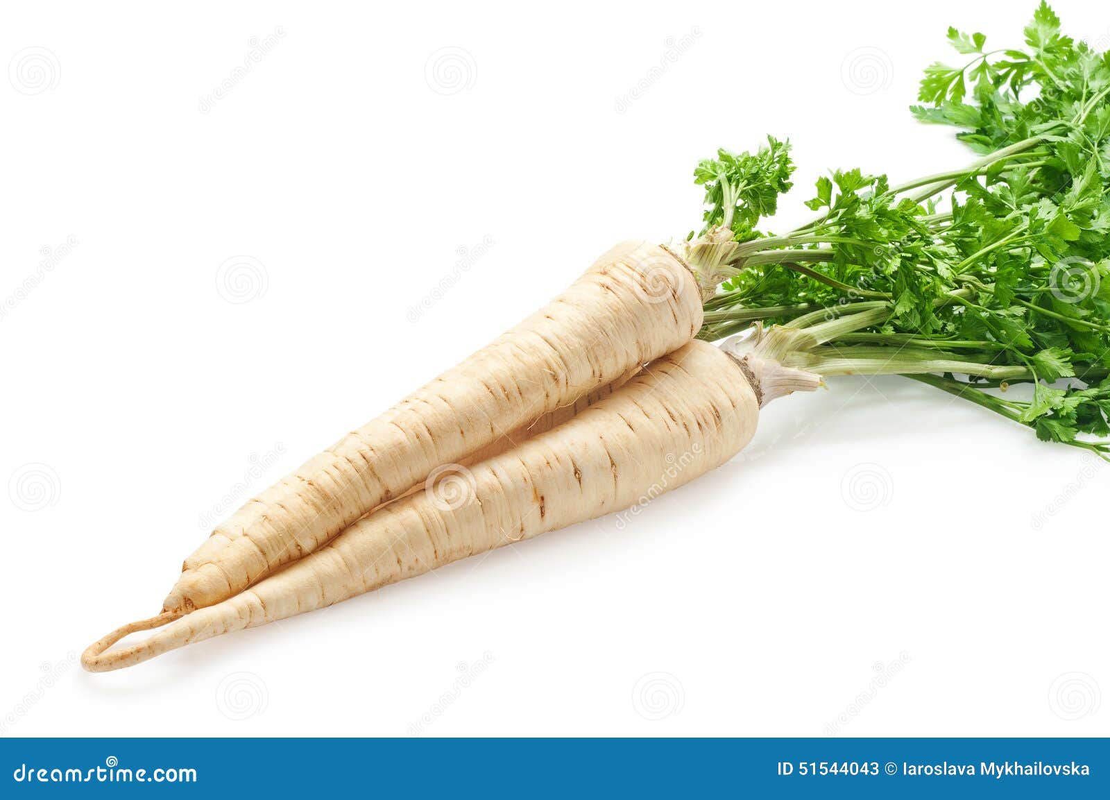 Verse Peterselie Met Wortelblad Op Wit Stock Afbeelding - Image of ...