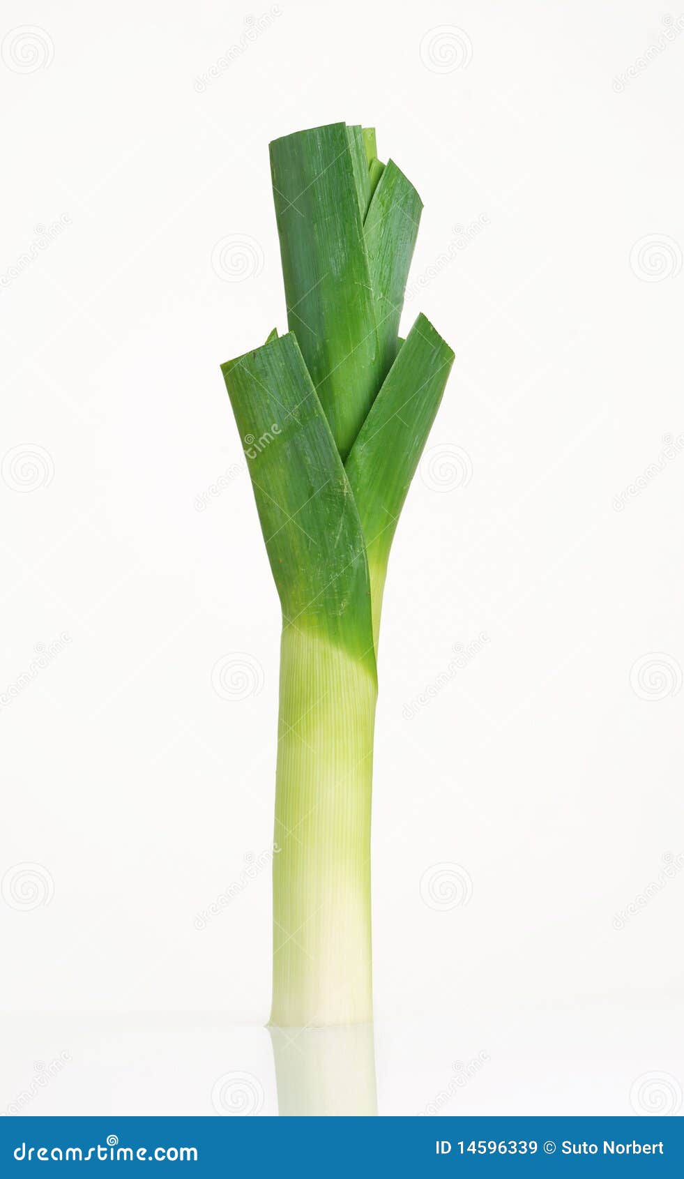 Verse prei stock afbeelding. Image of steel, gezond, achtergrond - 14596339